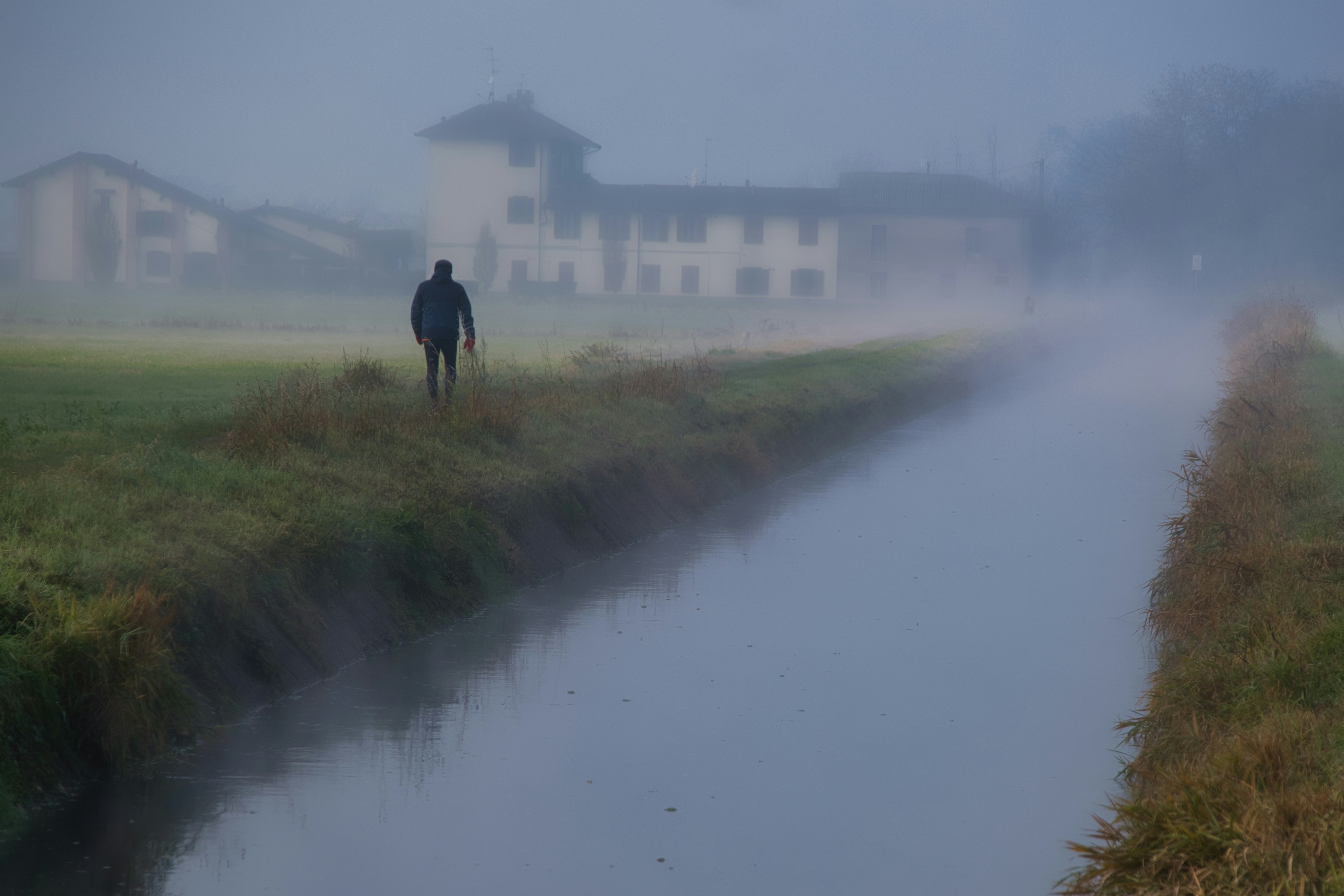 Whispers of the Morning Mist