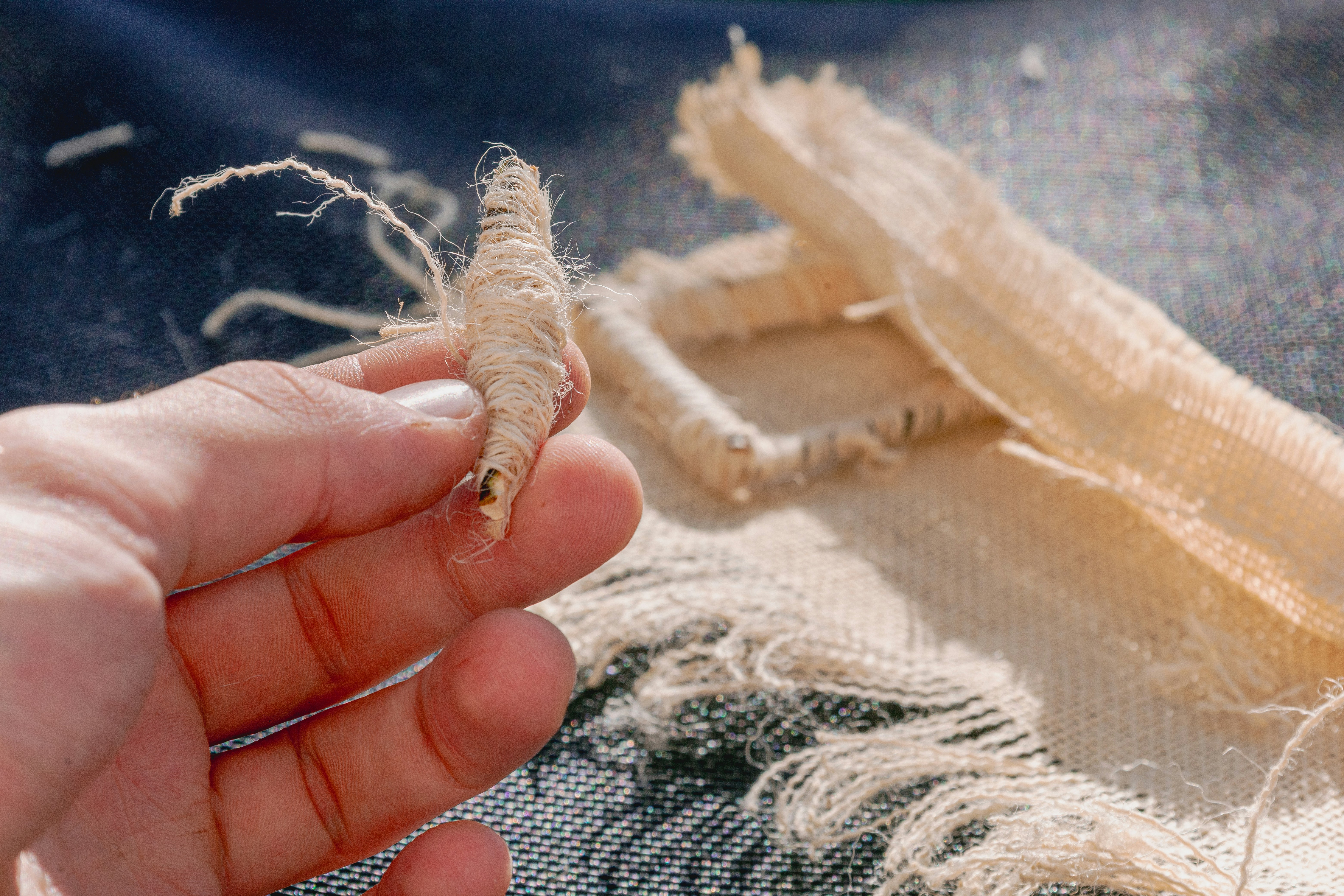 Hand holding a small caterpillar on frayed fabric