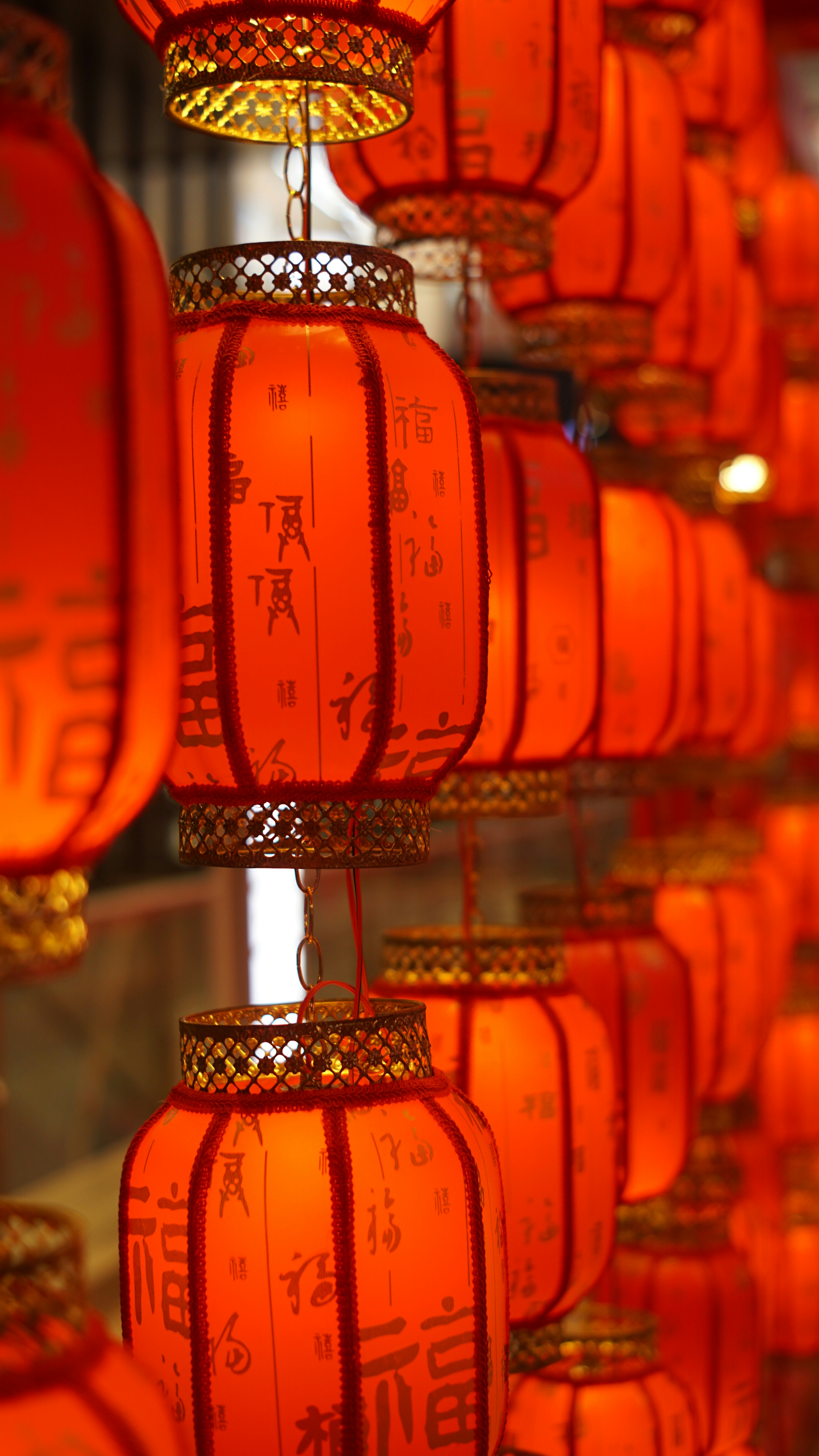 Rows of red chinese lanterns illuminated at night photo – Free Red ...