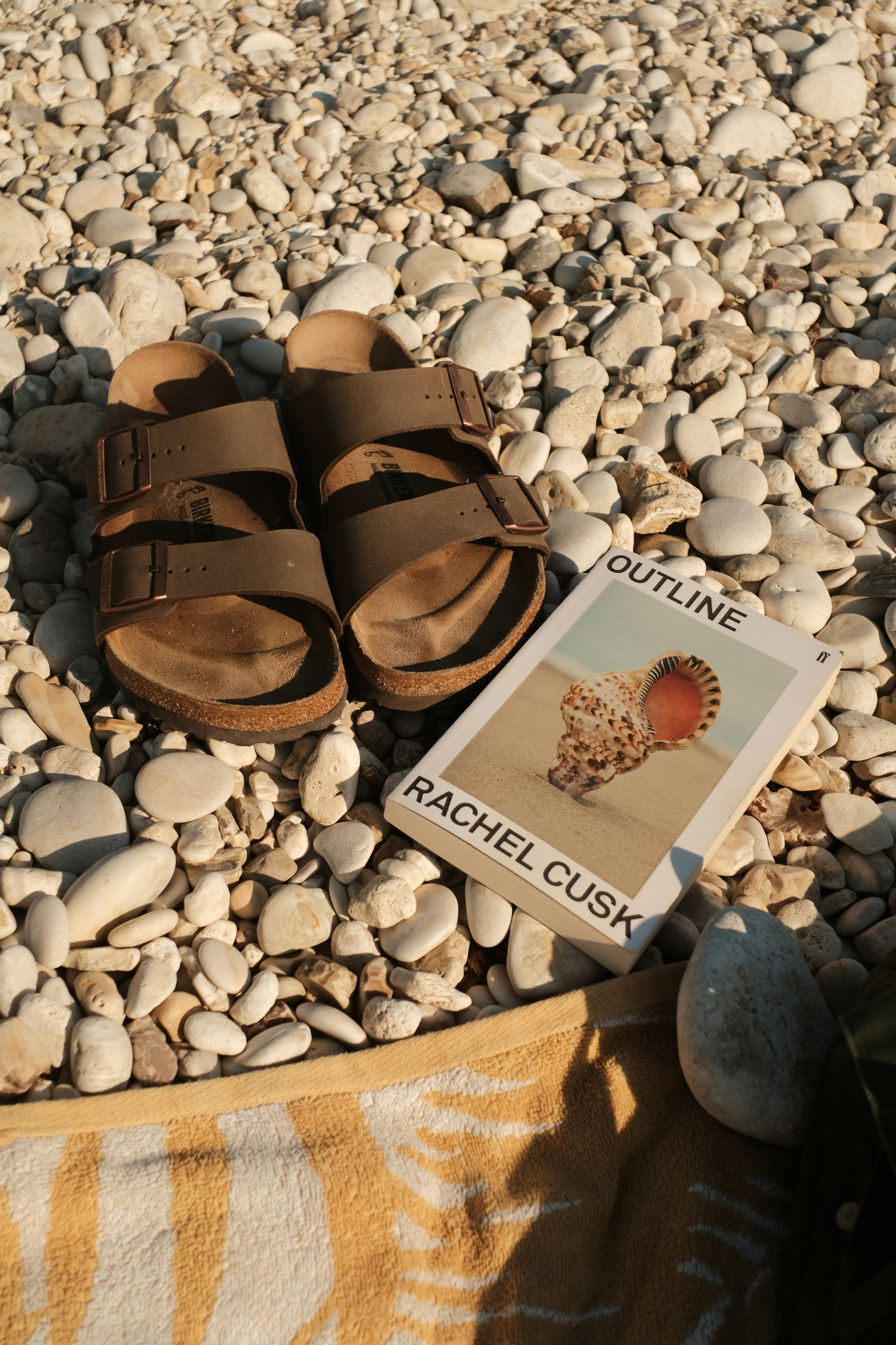 Explore imagens, wallpapers e planos de fundo gratuitos | Unsplash