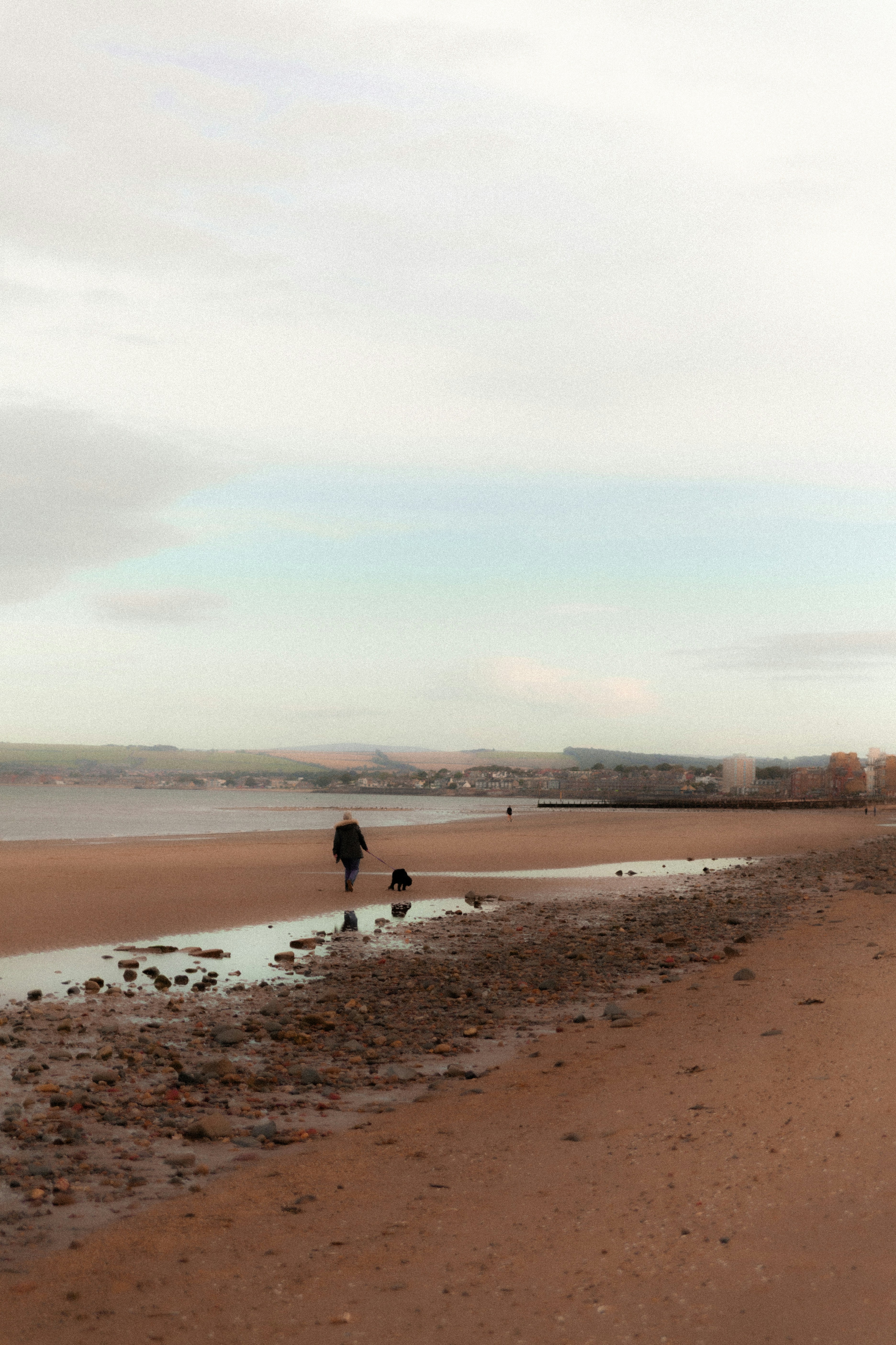 Whispers of the Shoreline