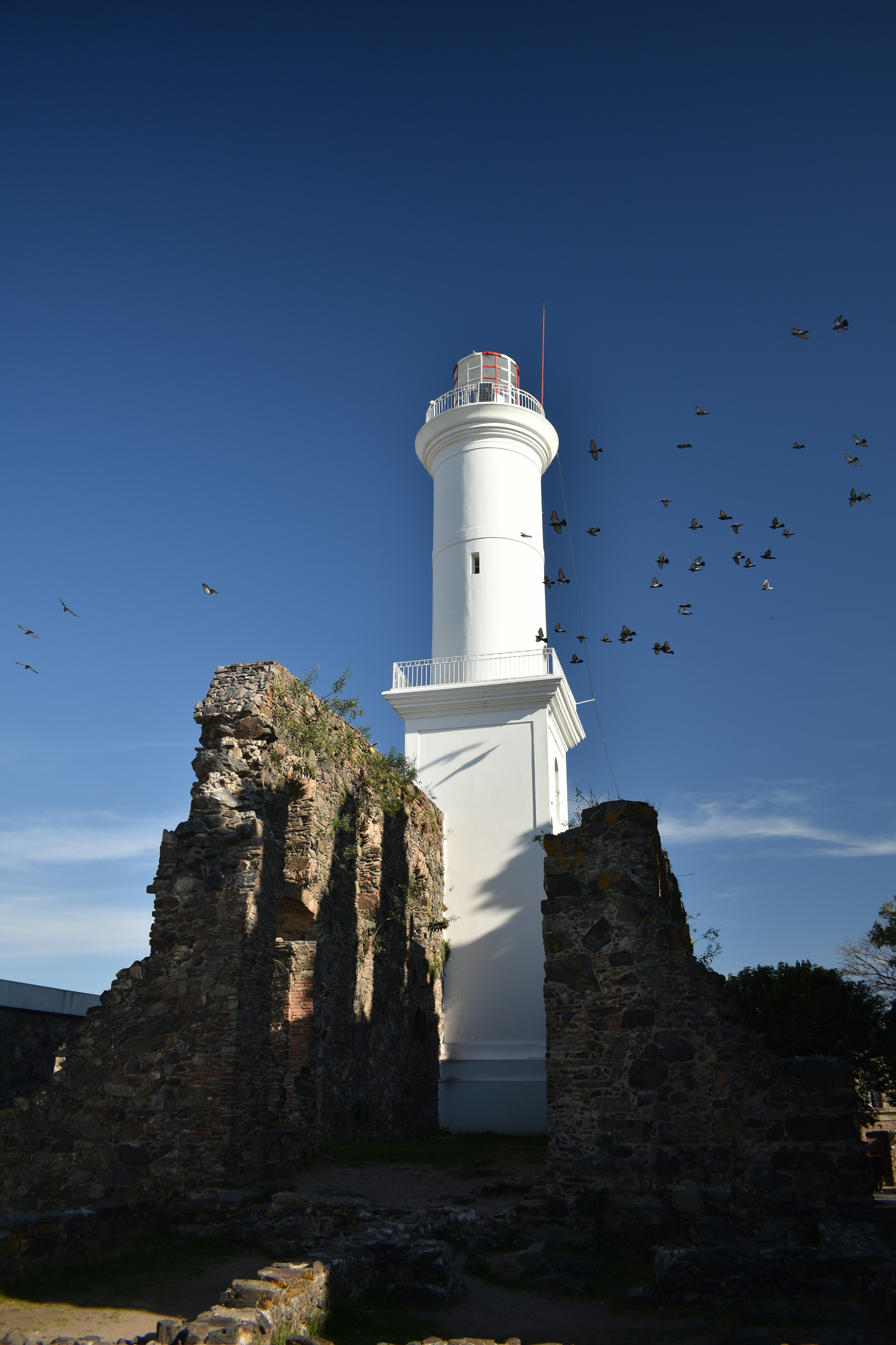 Photo by Matheus Oliveira with Nikon D3400