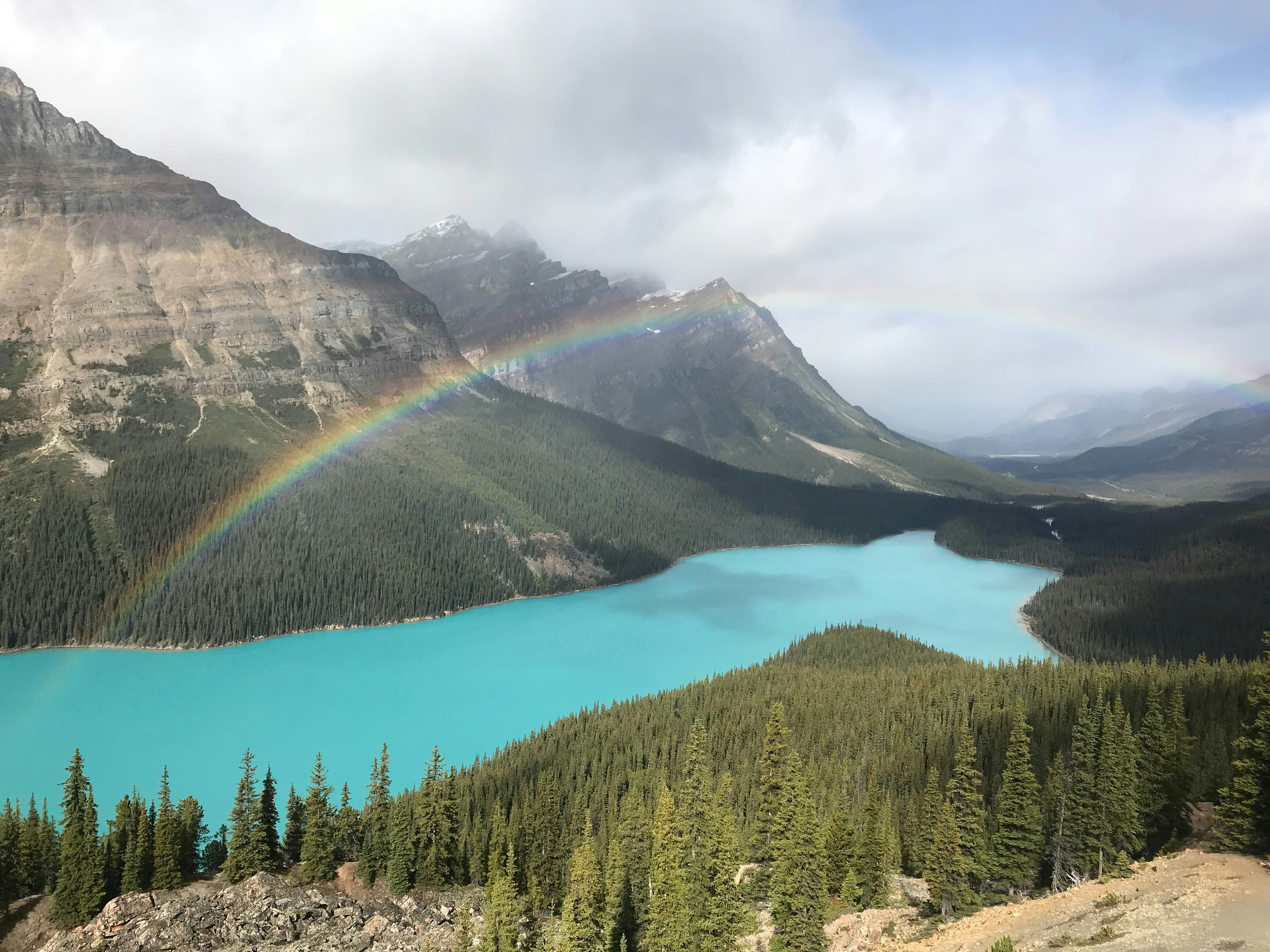 Harmony of Nature: A Rainbow's Embrace