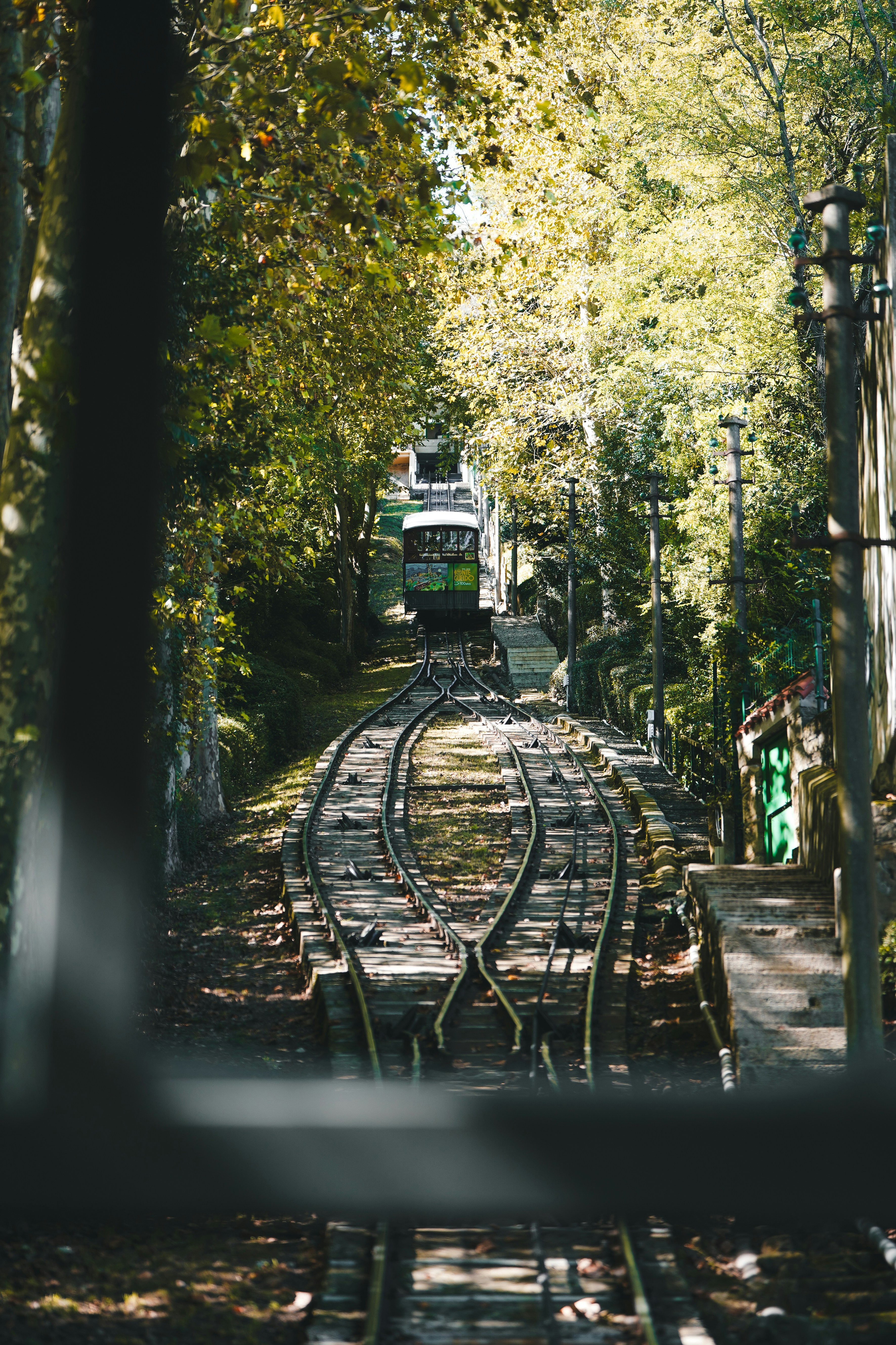 Funicular railway ascending through a lush green forest.