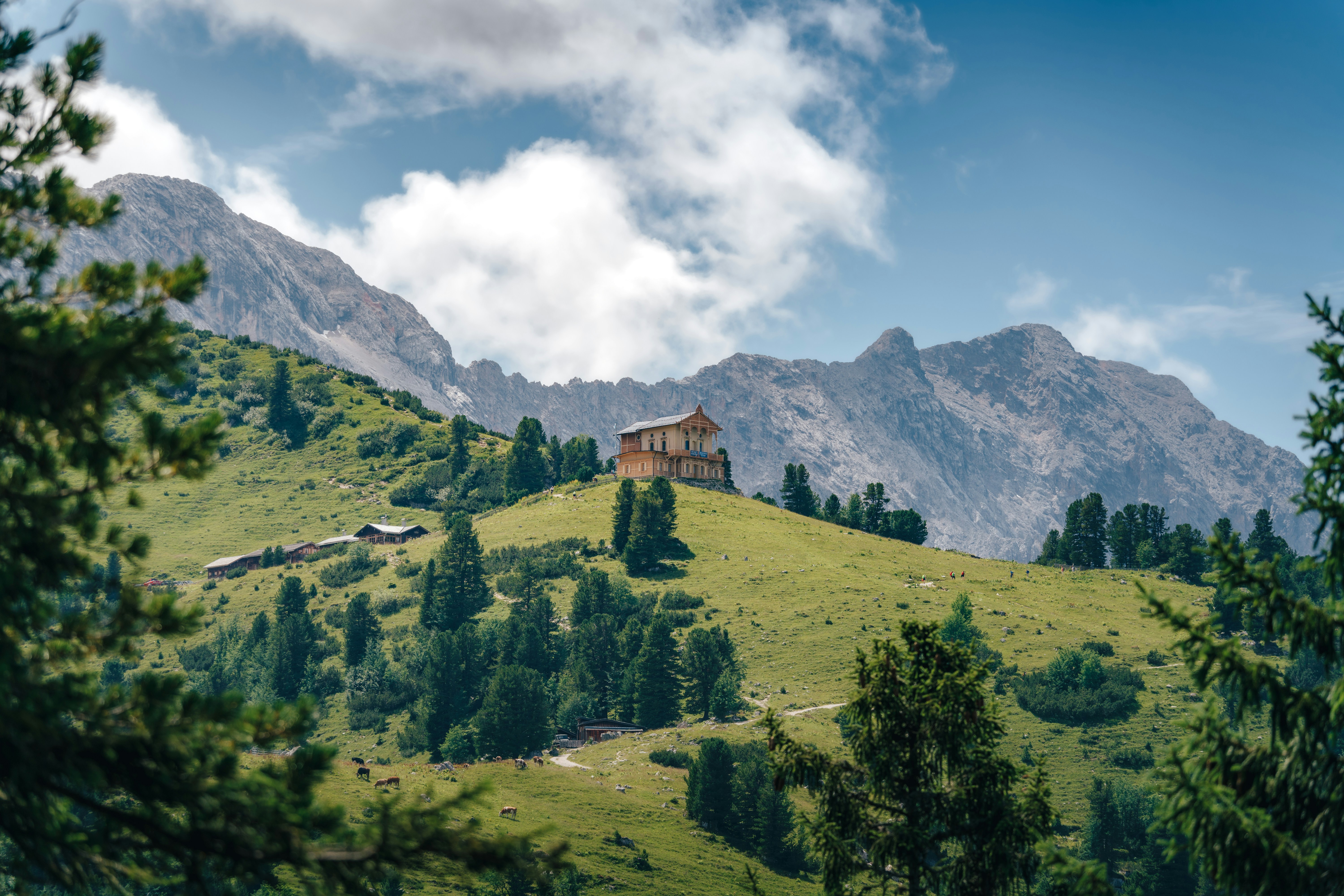 Mountain lodge on a green hill with trees.