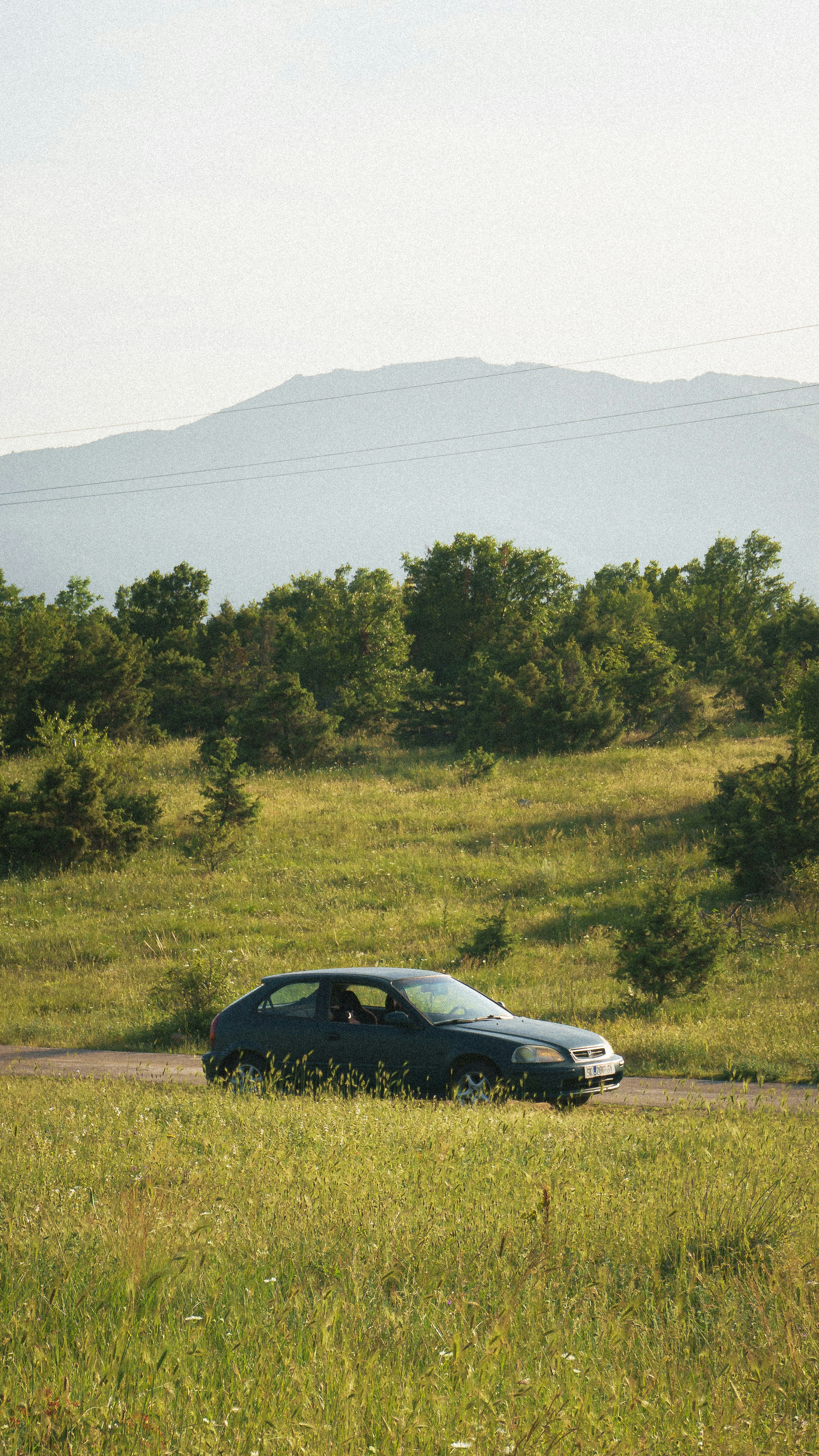 Journey Through Verdant Landscapes