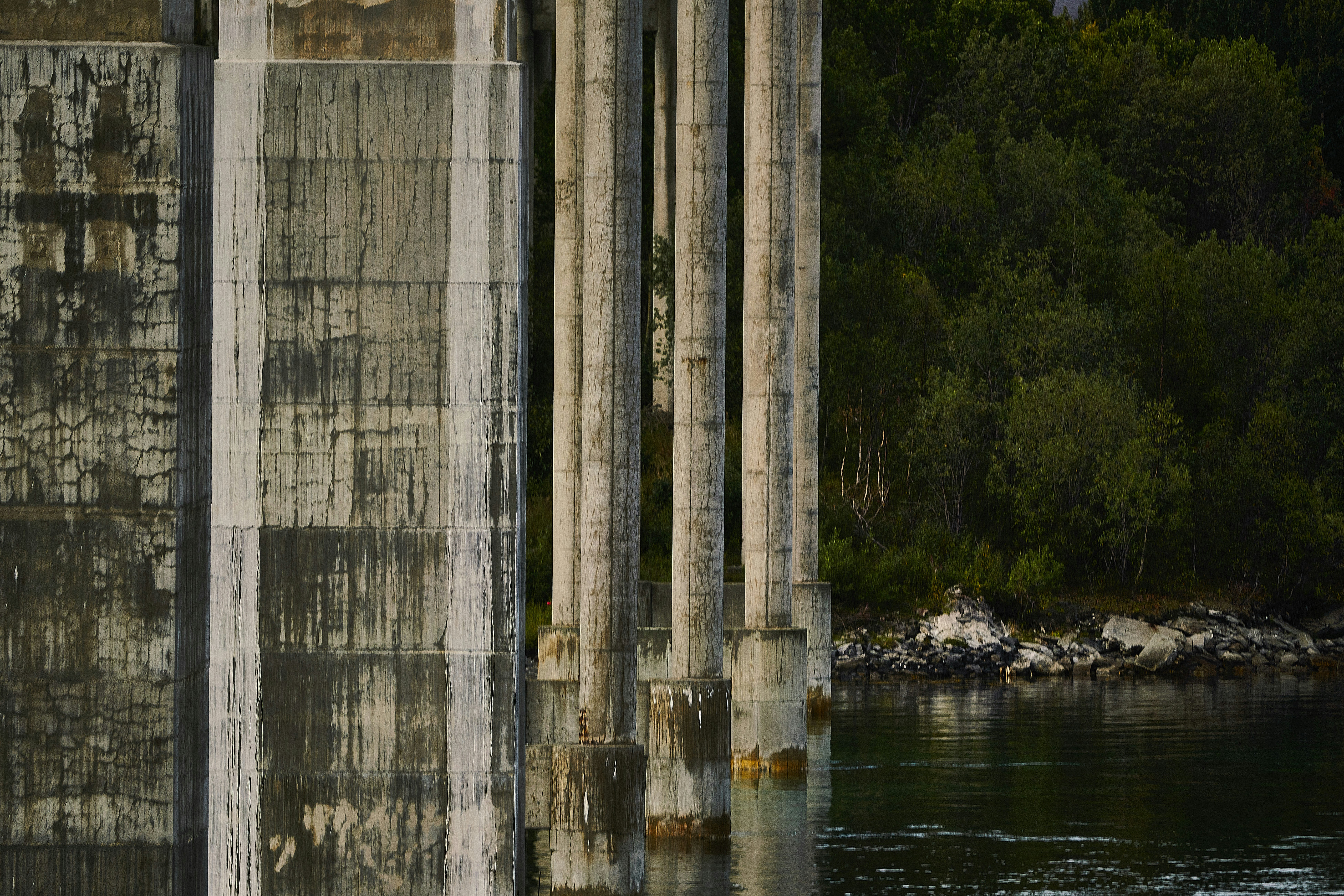 Bridge Water | Concrete pillars of a bridge over water with forest.