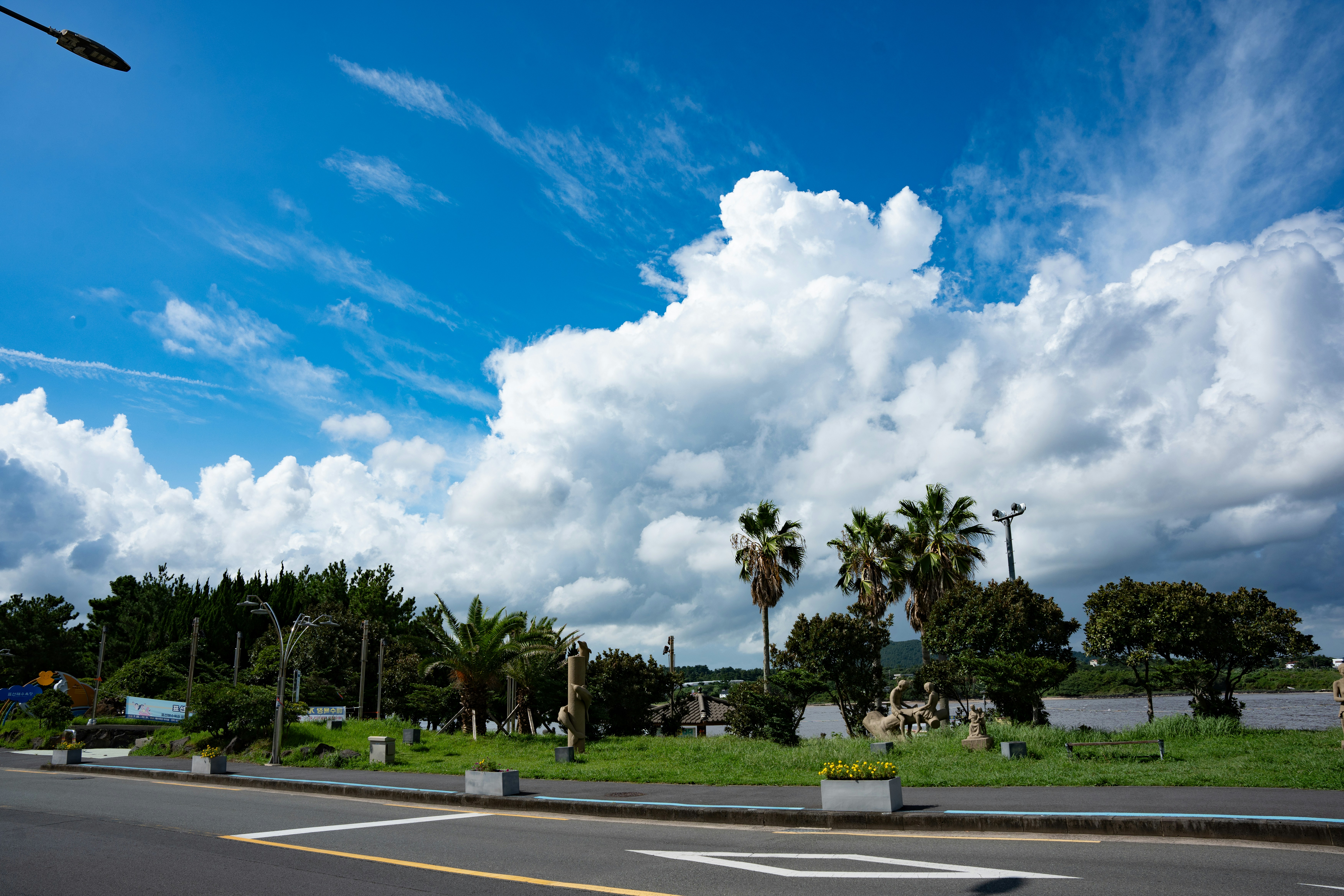 Tropical Tranquility Under a Cloudy Canopy