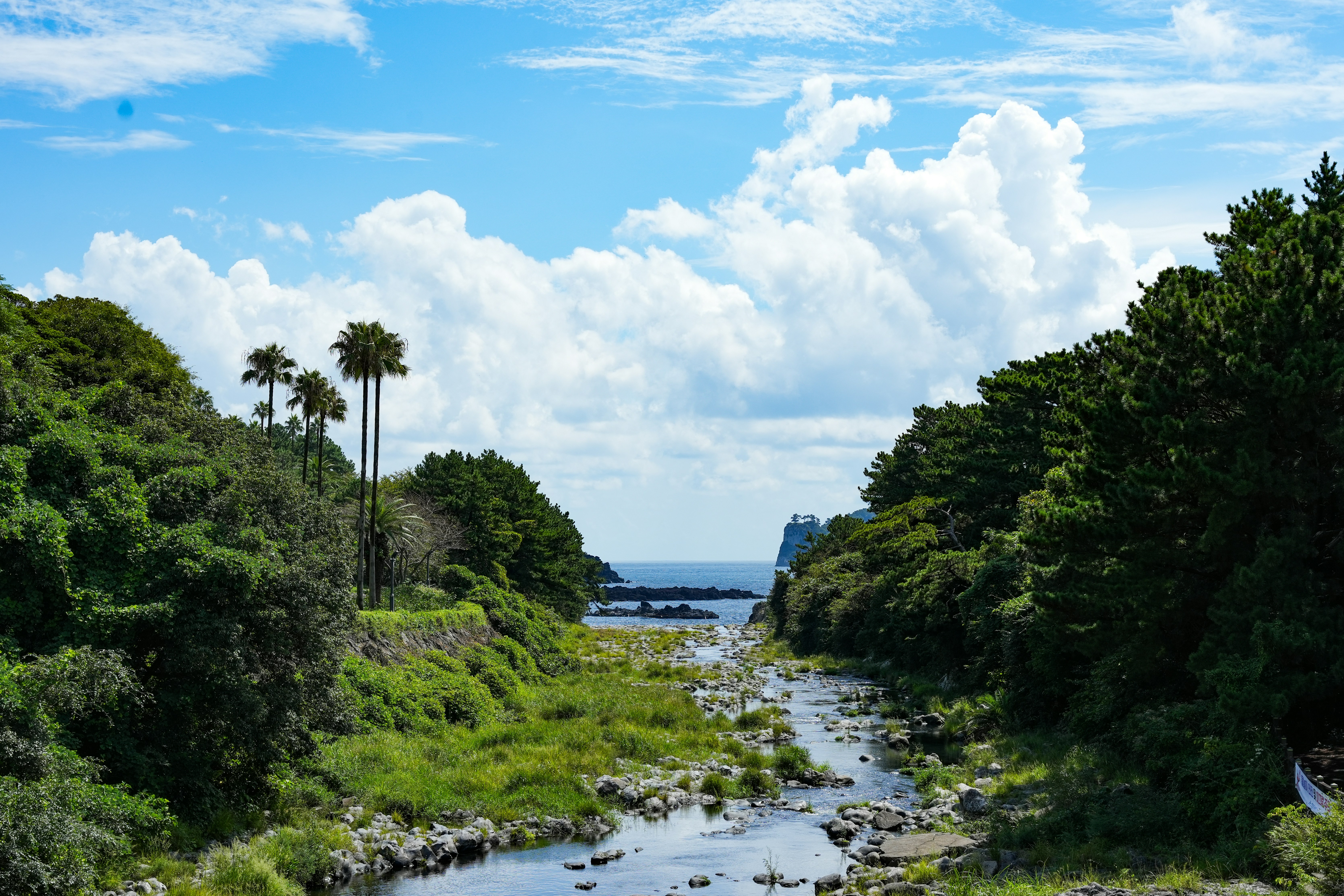 Lush greenery flanks a tranquil stream leading to the ocean, framed by scattered clouds in a vibrant blue sky.