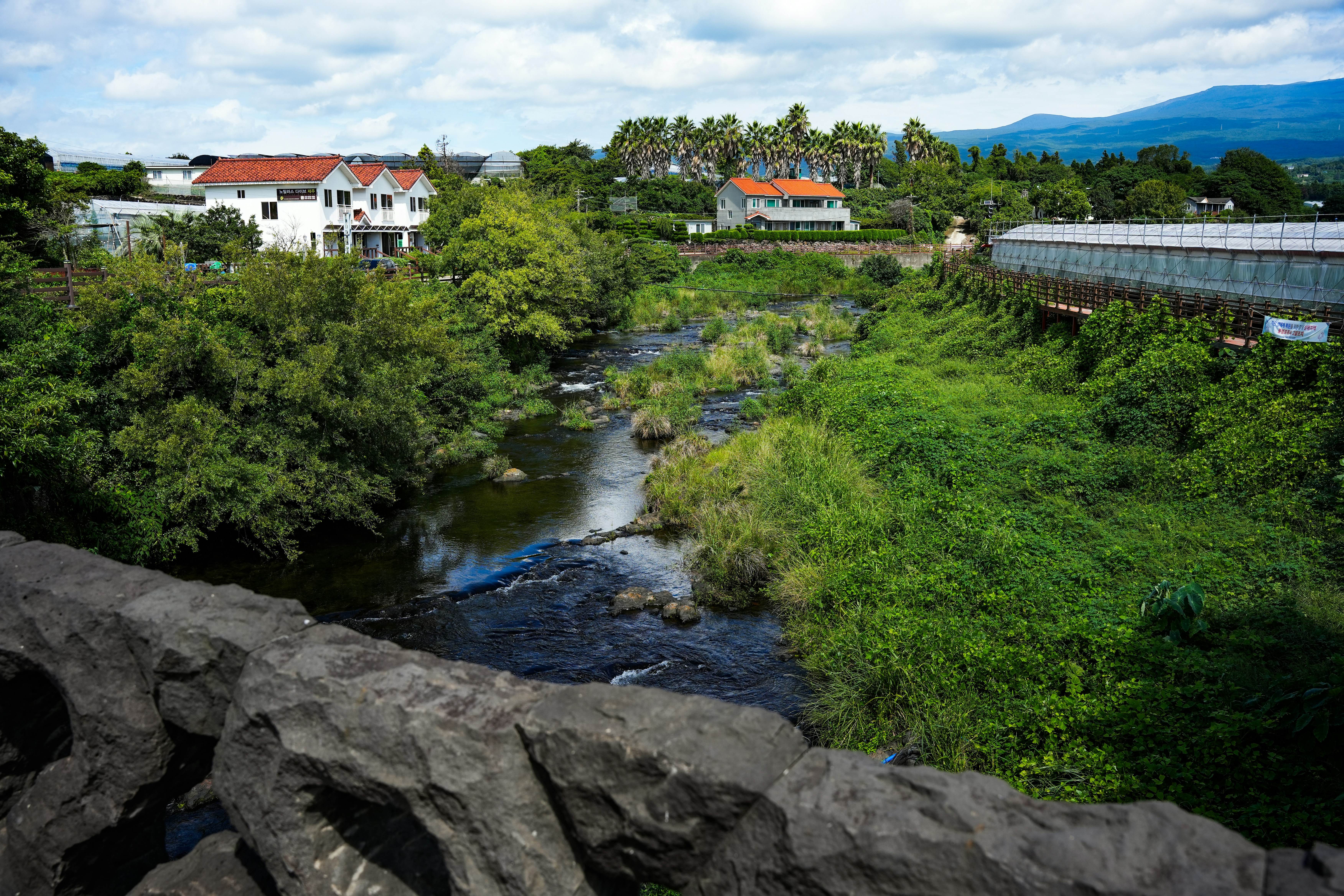 Serenity in Green: A Hidden Oasis