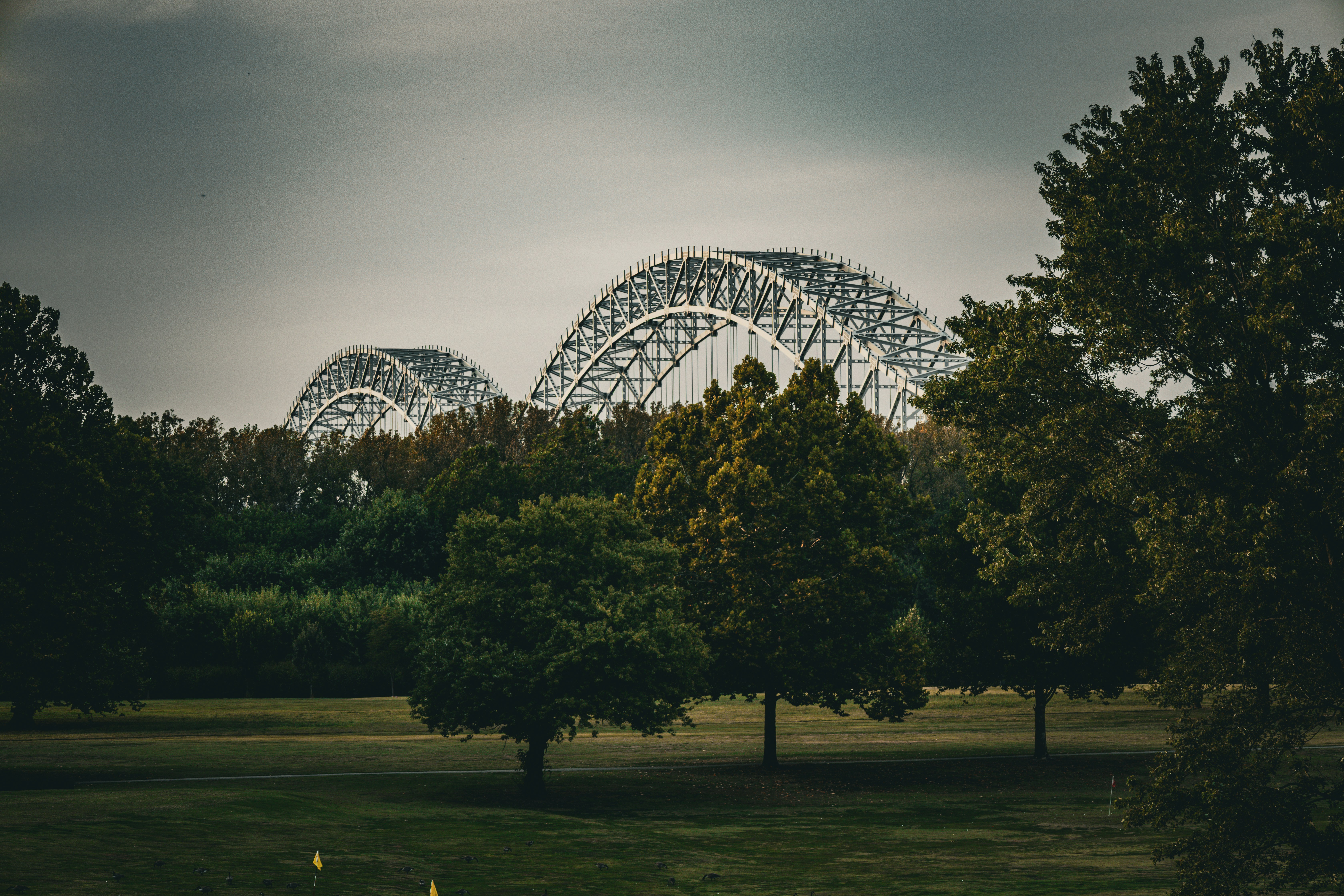 A sweeping view of the iconic bridge structure framed by lush trees, showcasing the harmony between engineering and nature. The scene is set under a moody sky.