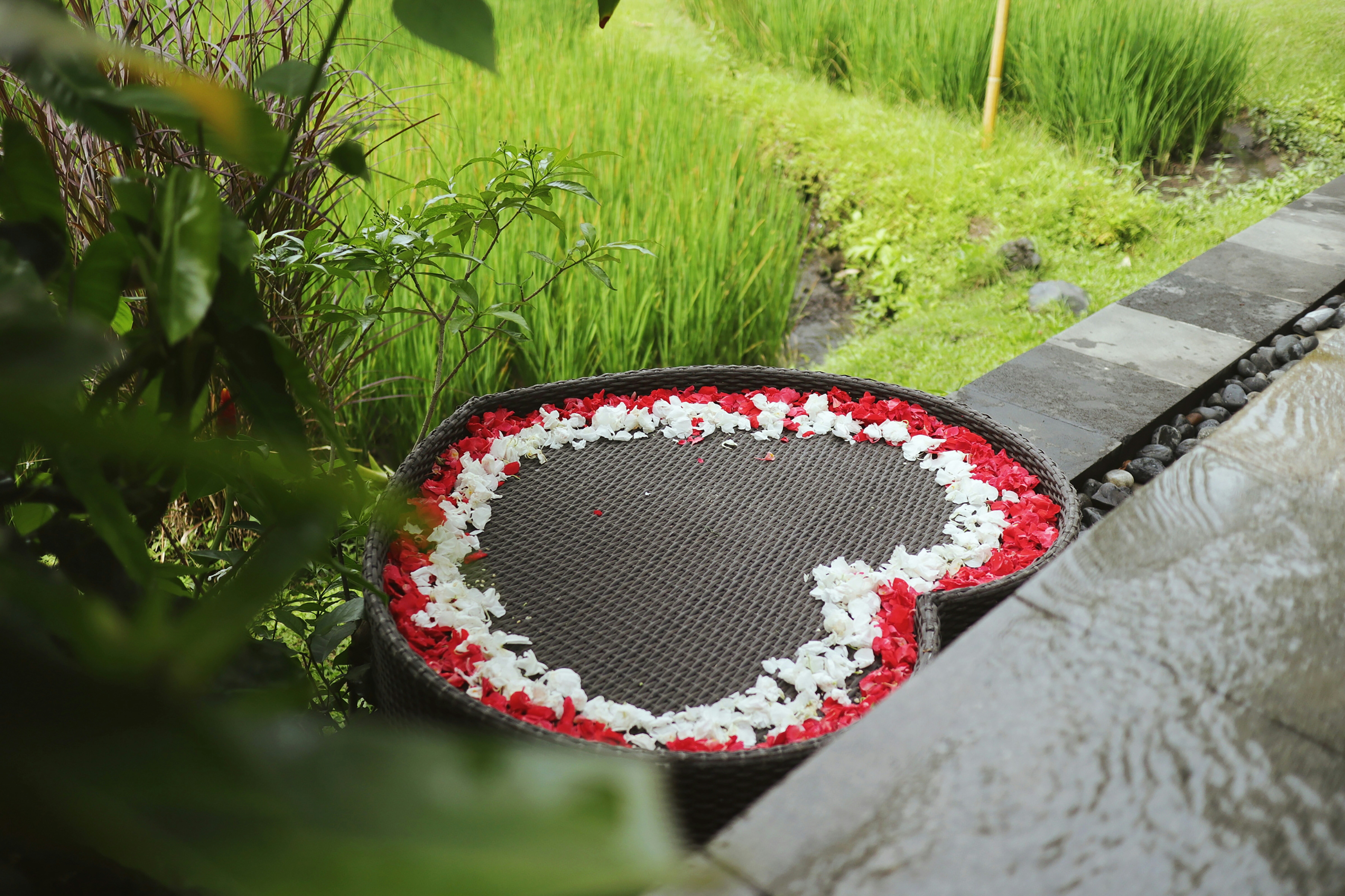 Floral Heart Amidst Lush Green Serenity
