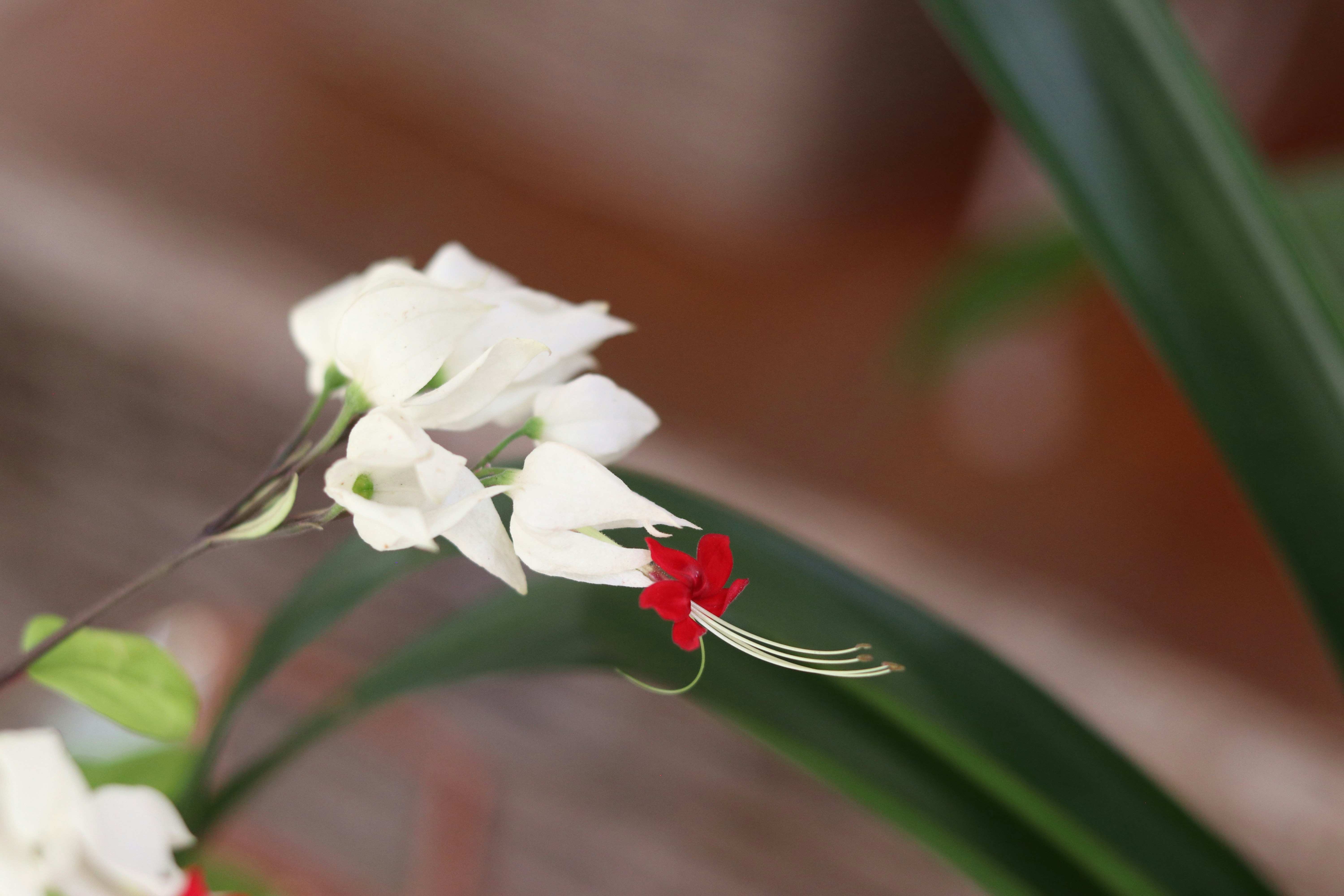 Ava Bennett (@avabennett) | Unsplash-Foto-Community