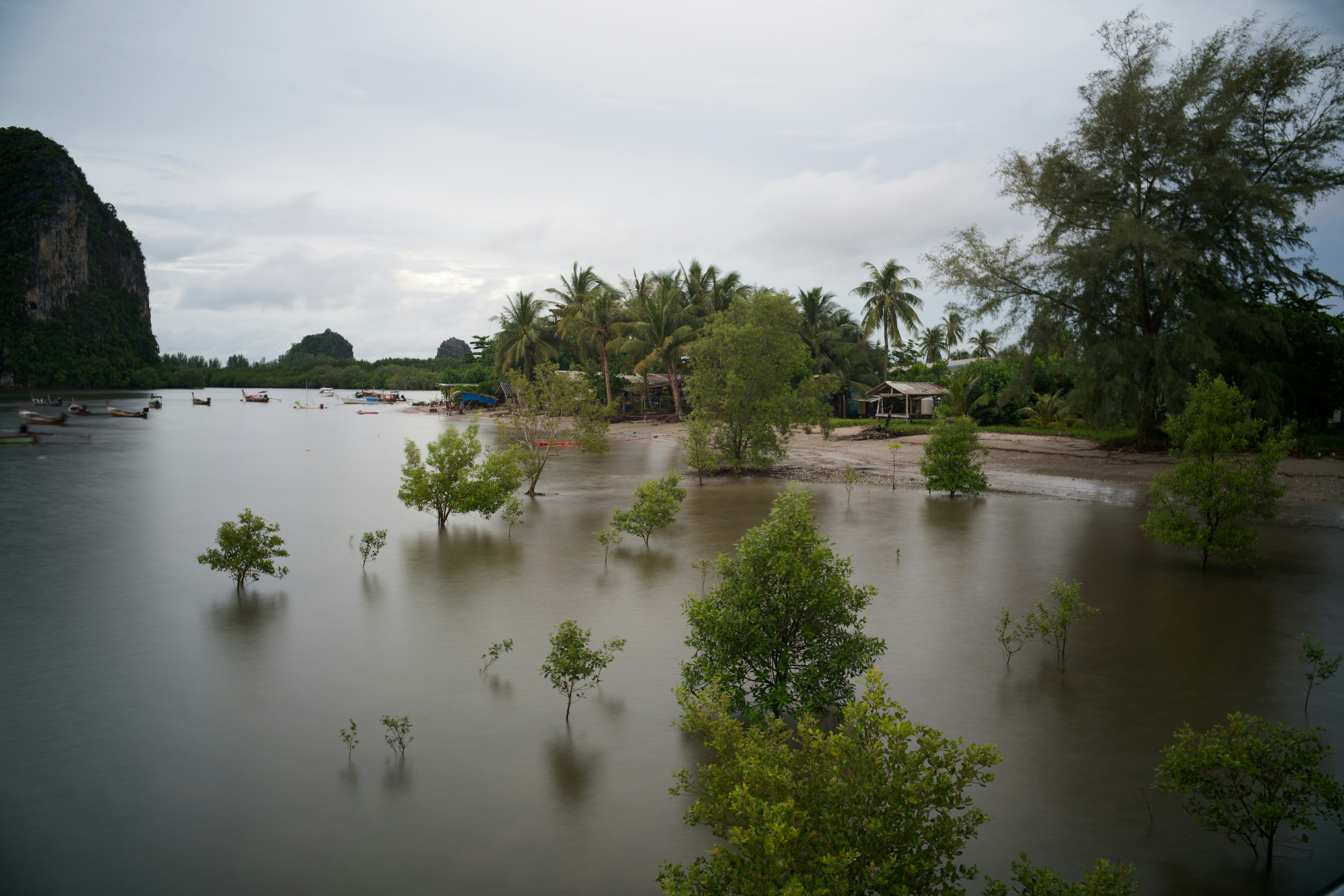 Serenity Amidst Mangroves