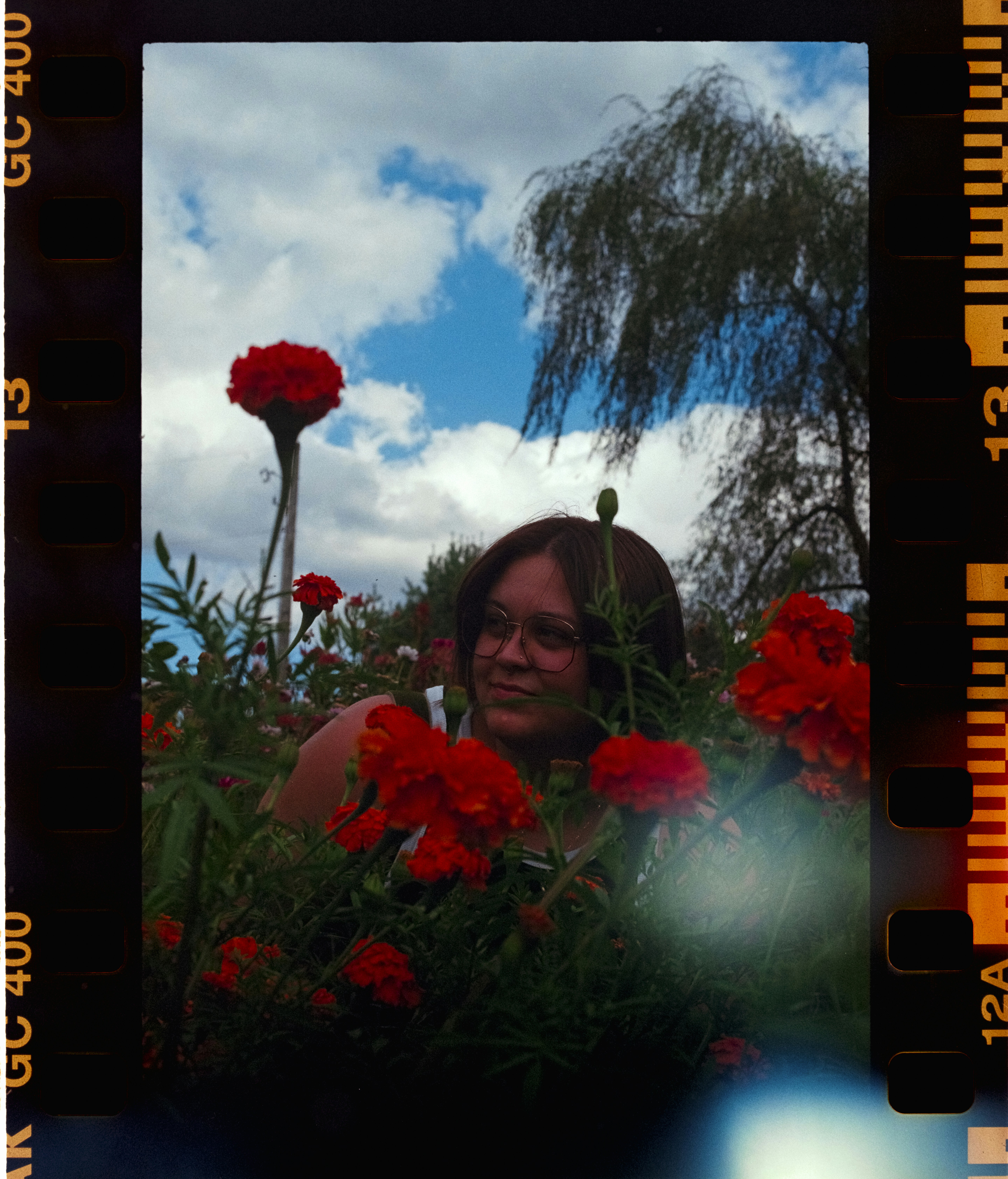Crimson Bloom Portrait Between Sky and Film Frame