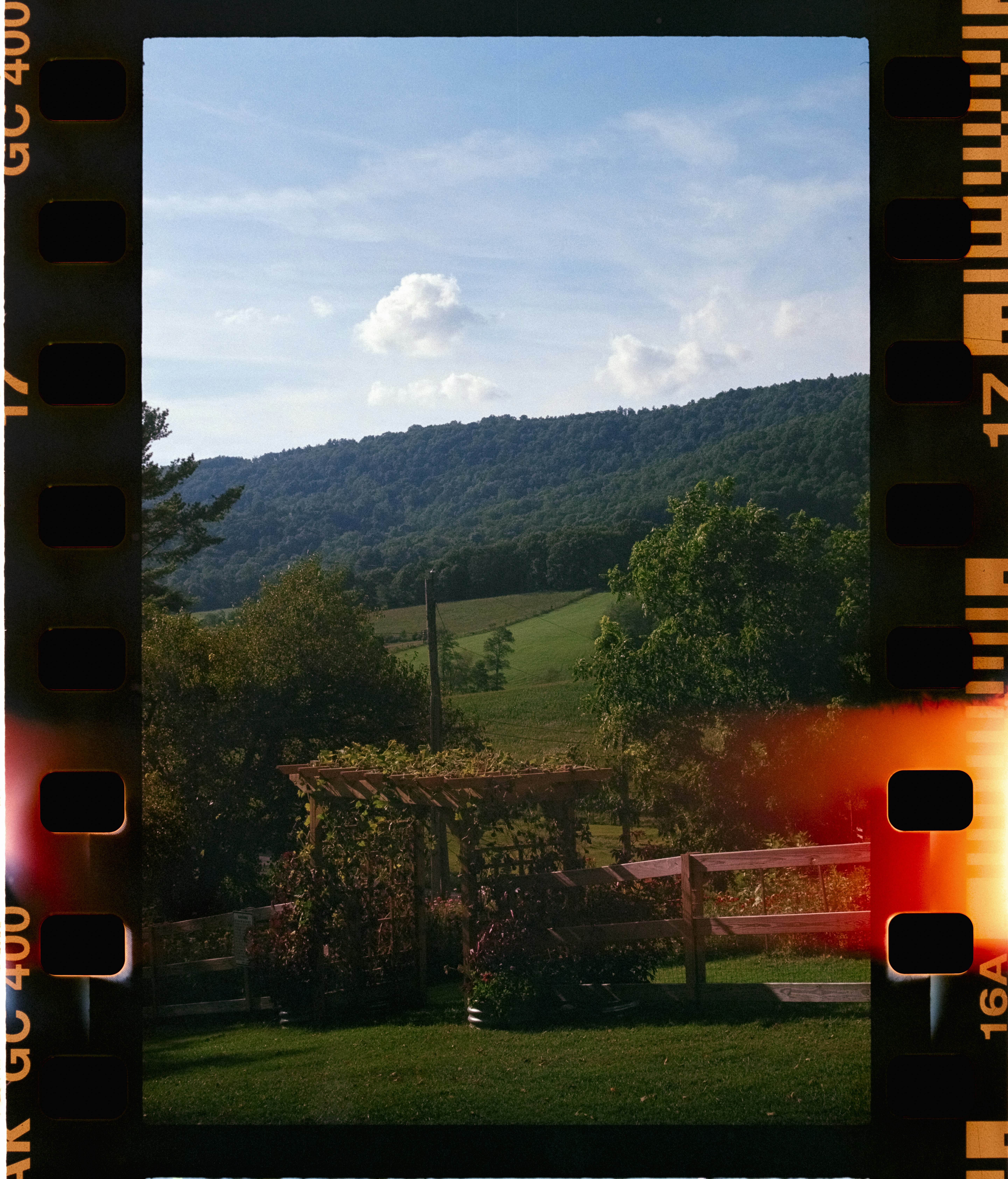 Serenity in the Green Hills