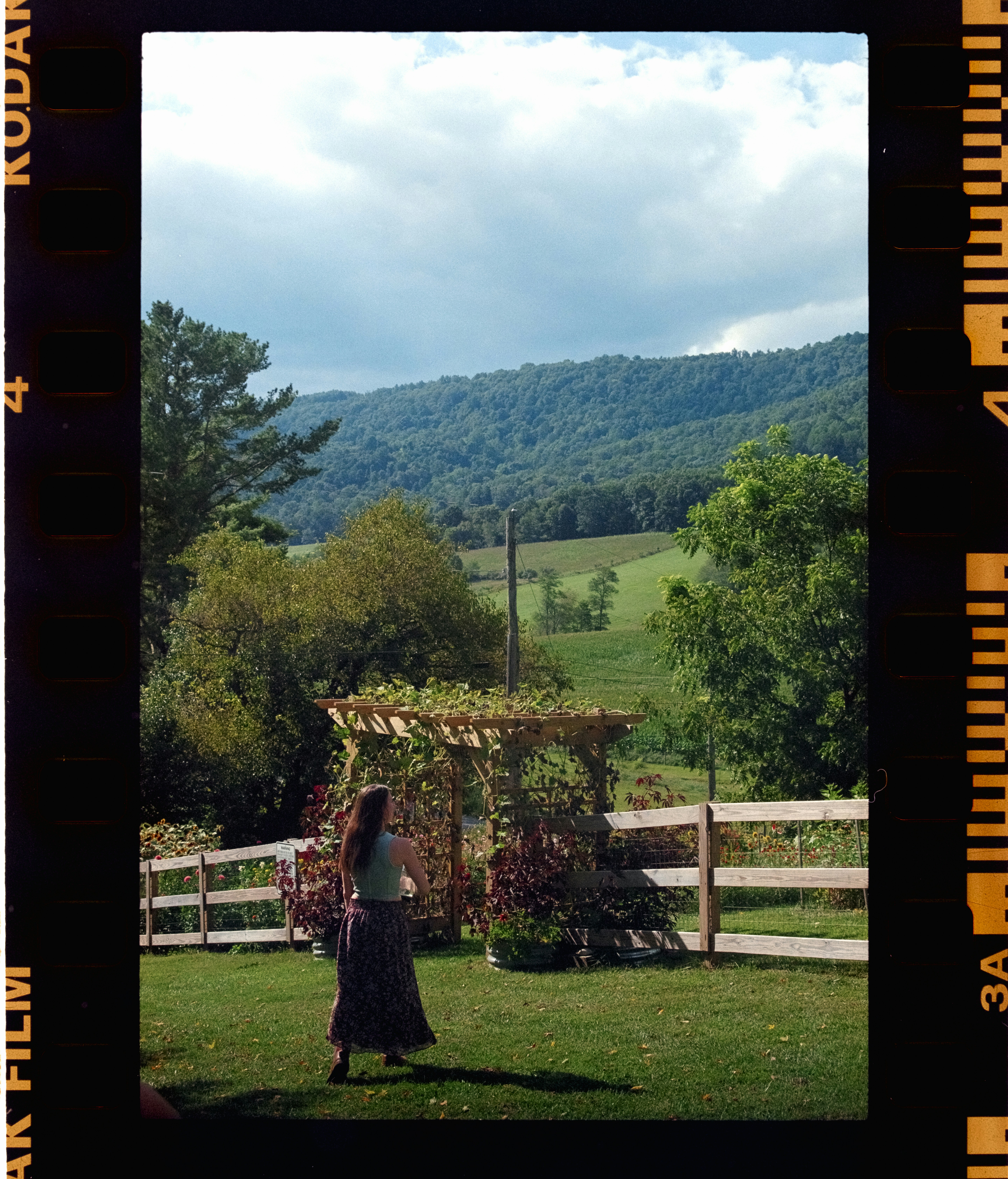 Whispers of Nature: A Serene Retreat