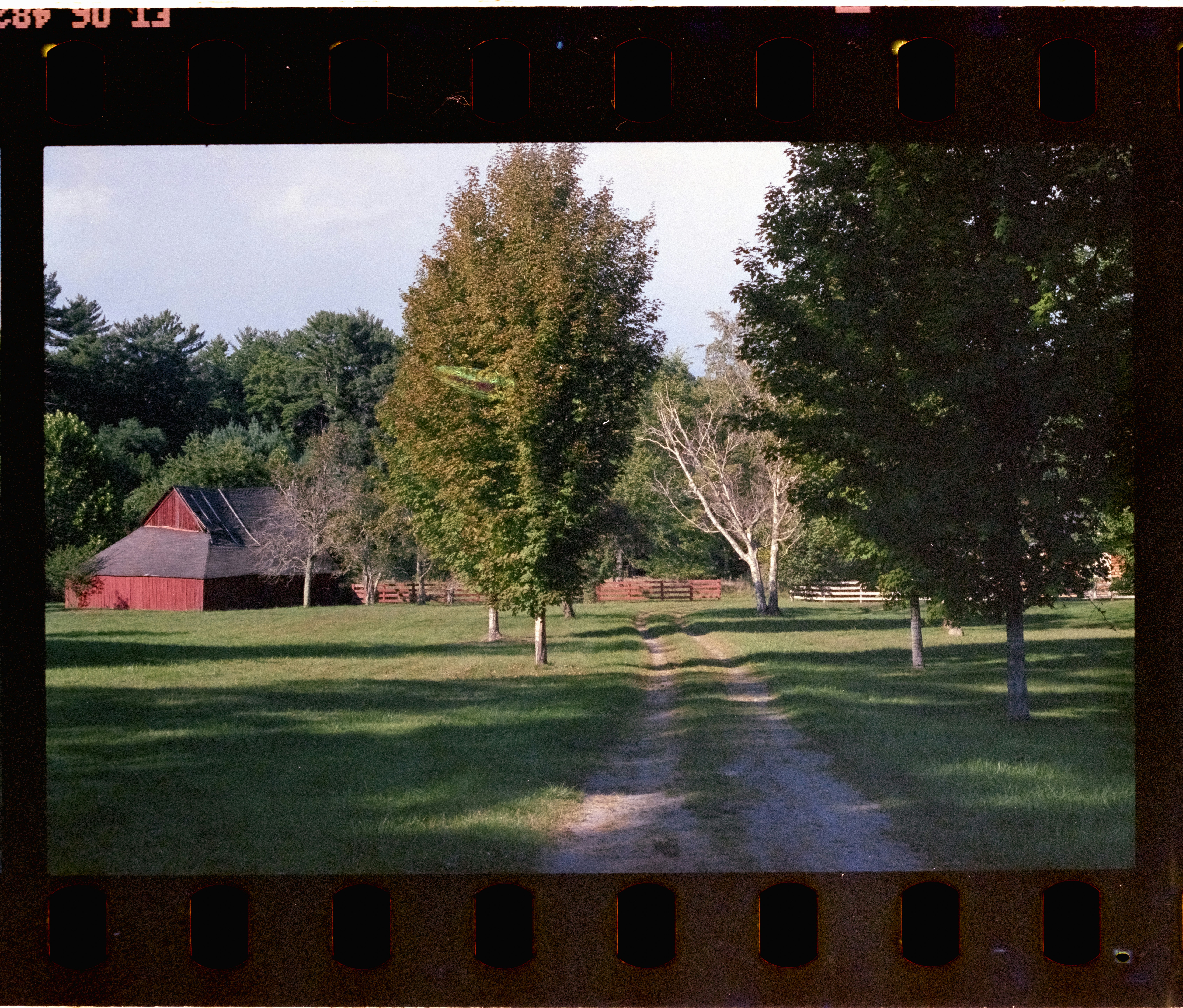 Whispers of the Past: A Rustic Pathway