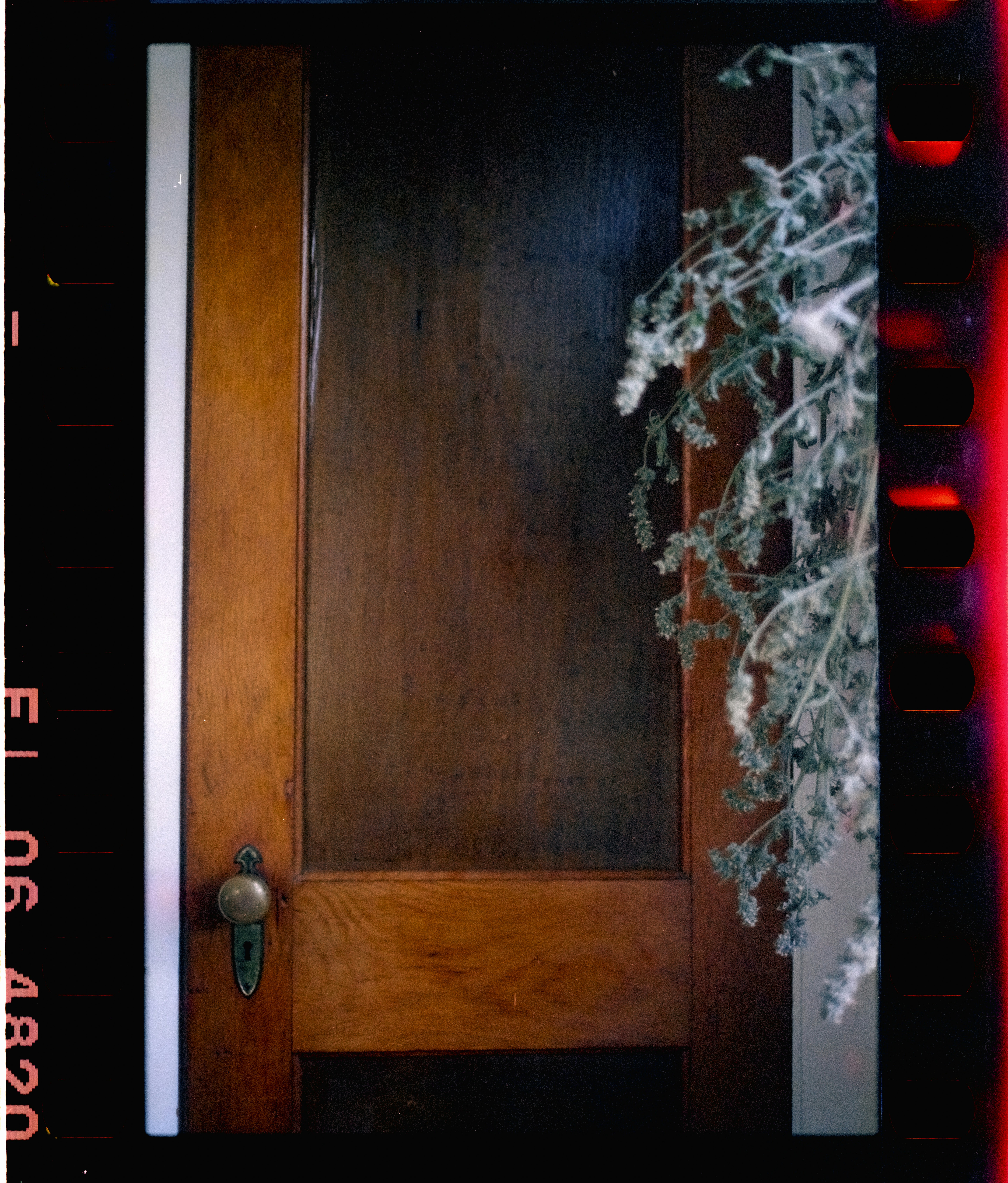 Whispers of the Past: A Doorway to Memories
