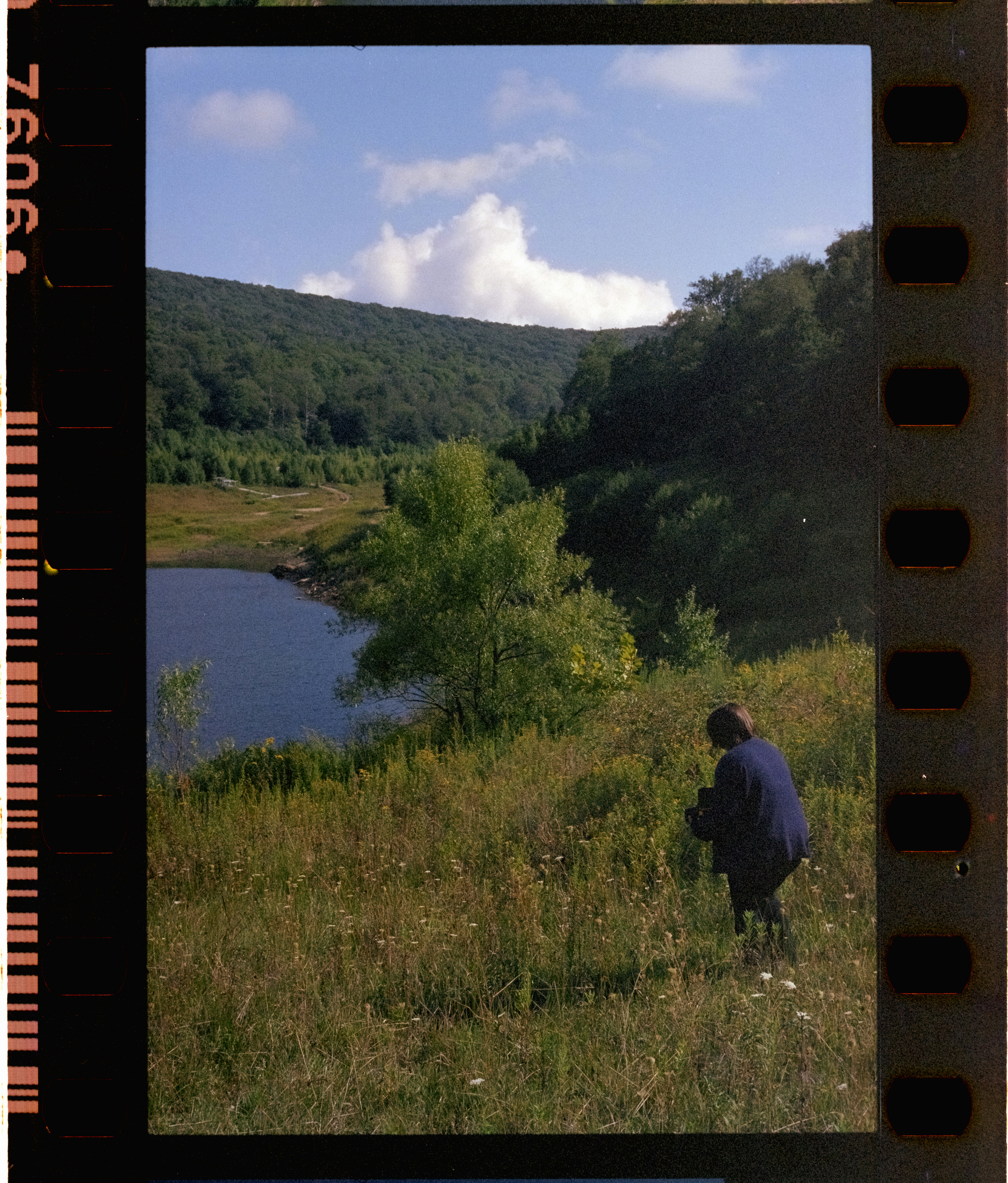 Whispers of Nature's Embrace