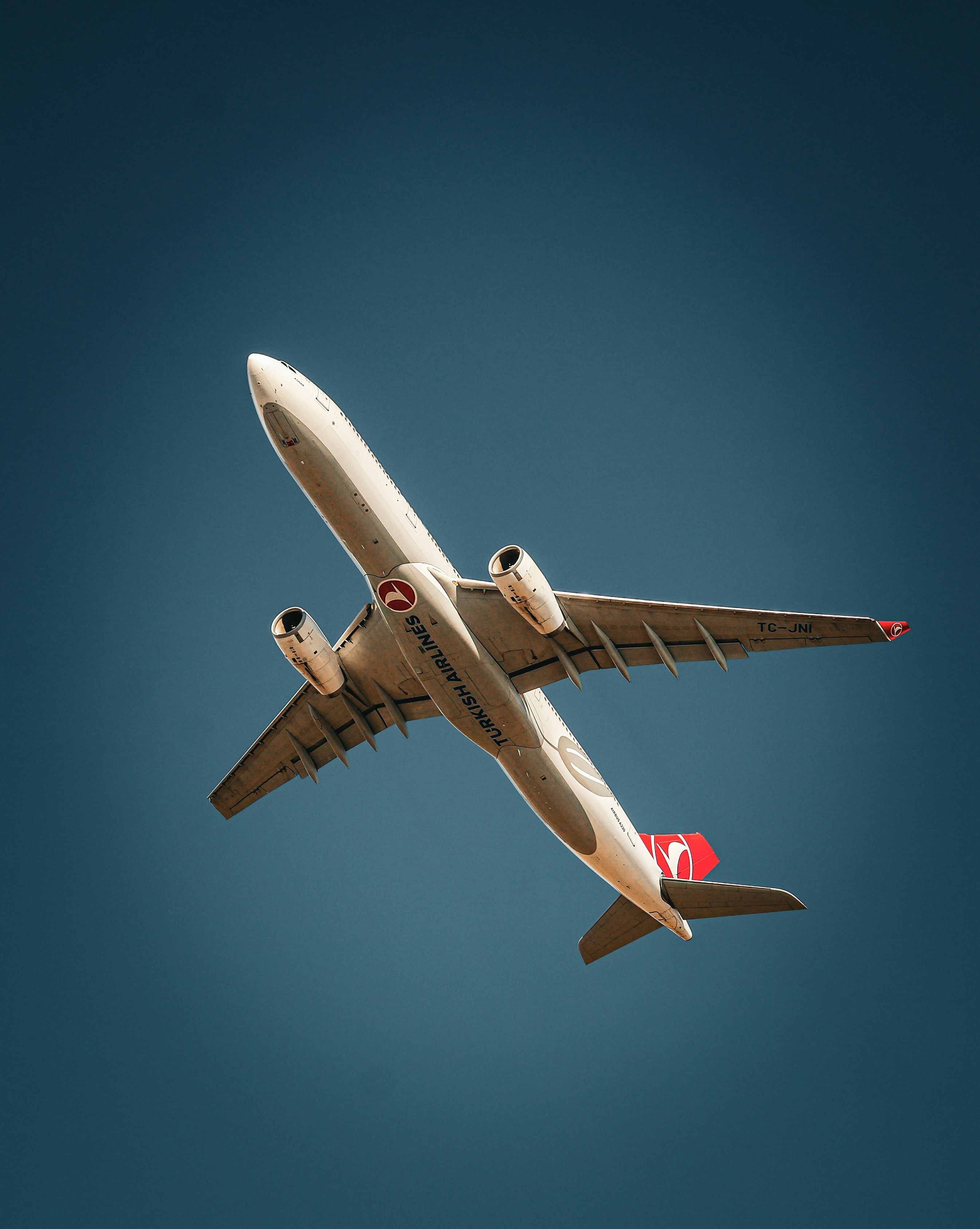 Soaring Above: A Glimpse of Aviation Majesty