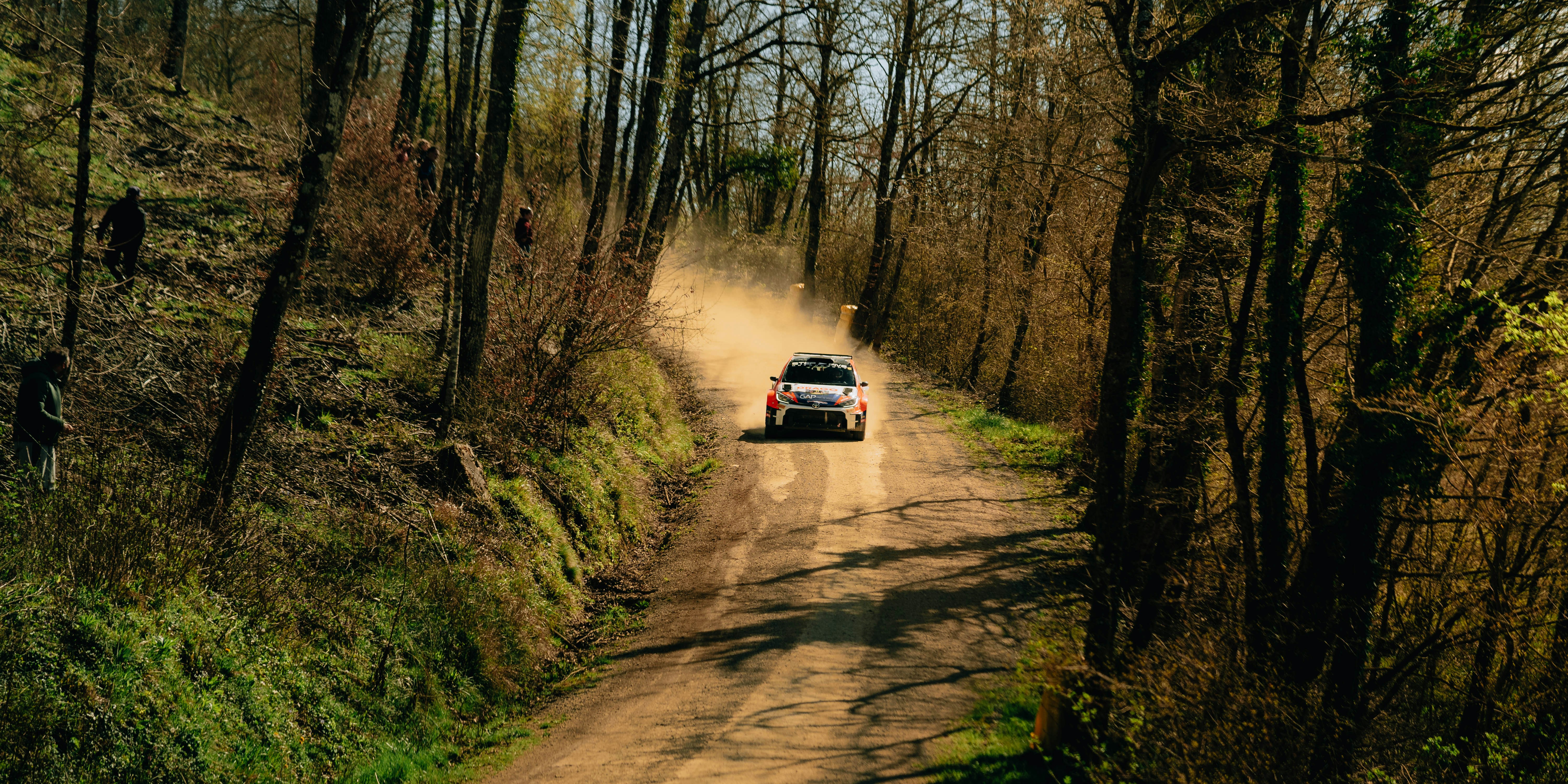 Dust Ribbon Rally Through a Quiet Forest Road