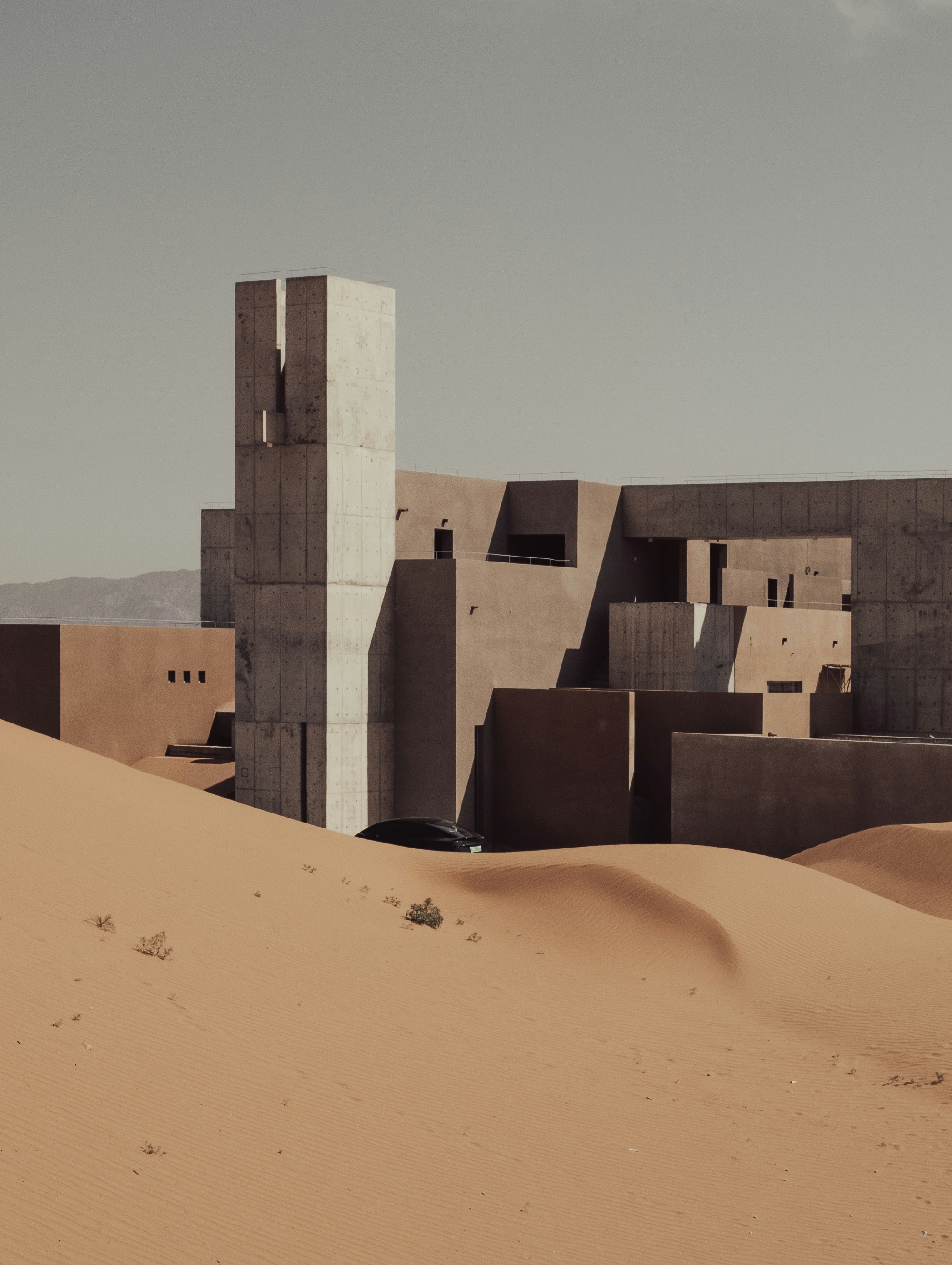 Desert Harmony: The Intersection of Nature and Modern Architecture