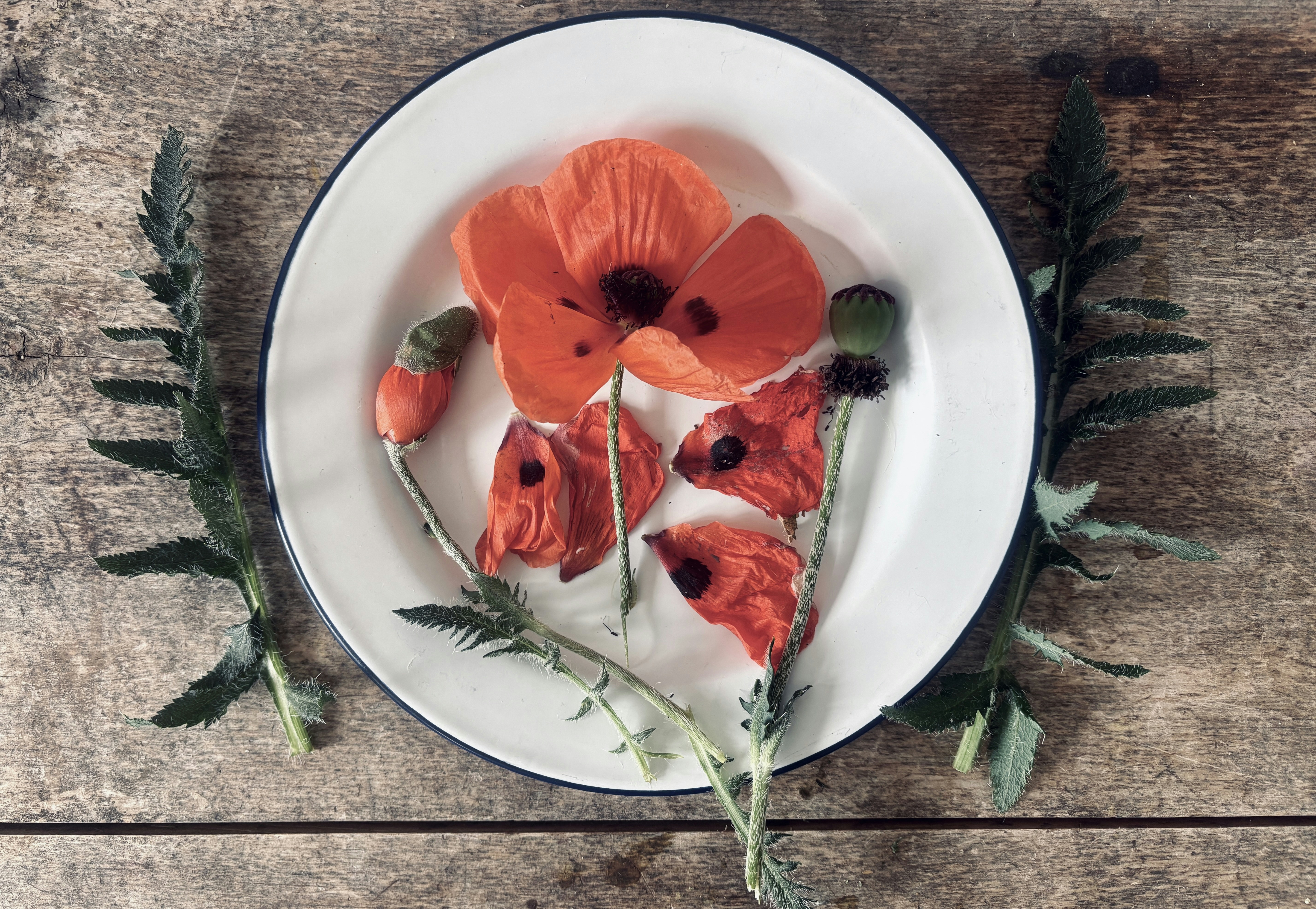 Nature's Palette: A Floral Still Life