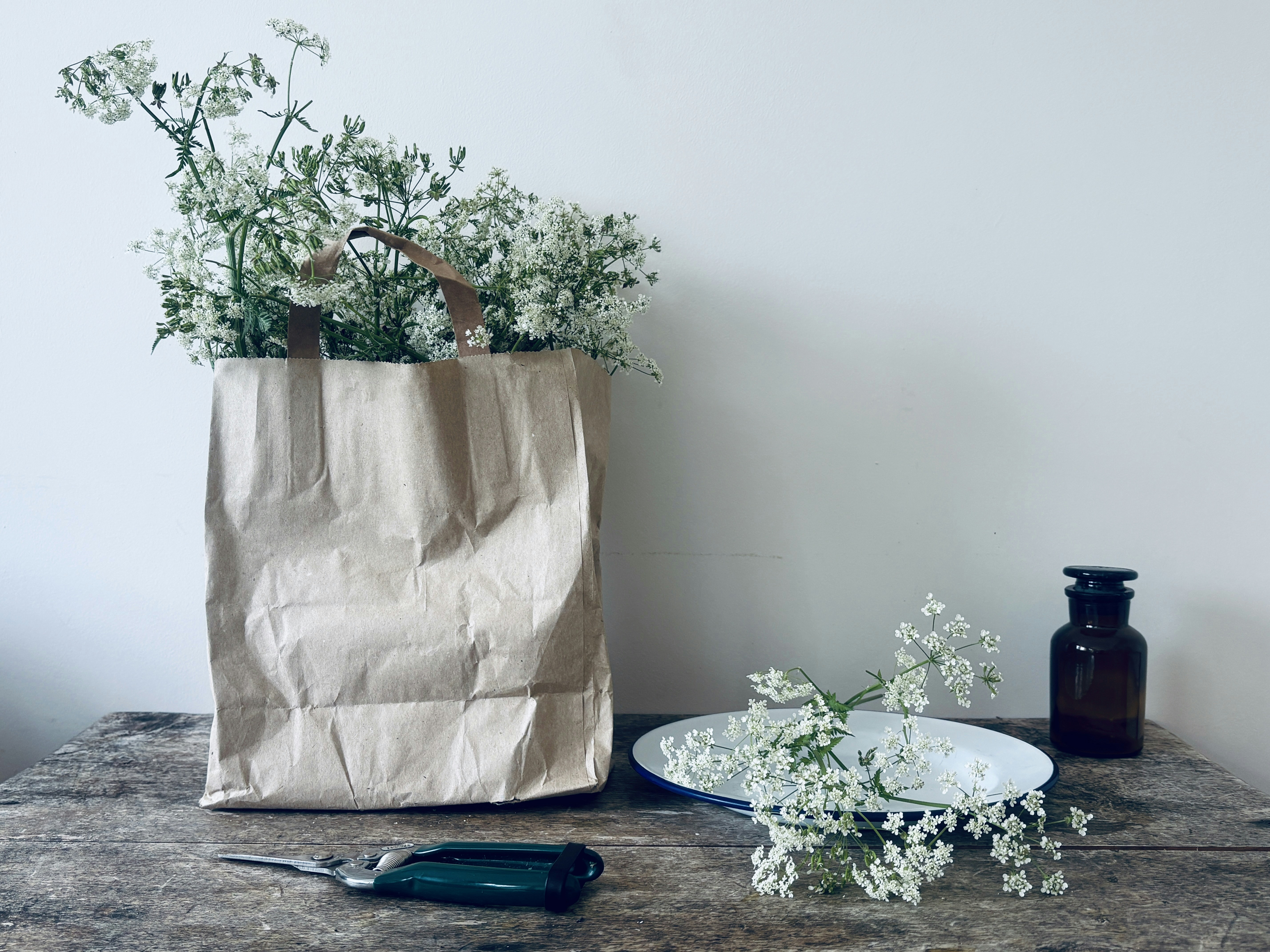 Nature's Touch in a Rustic Setting