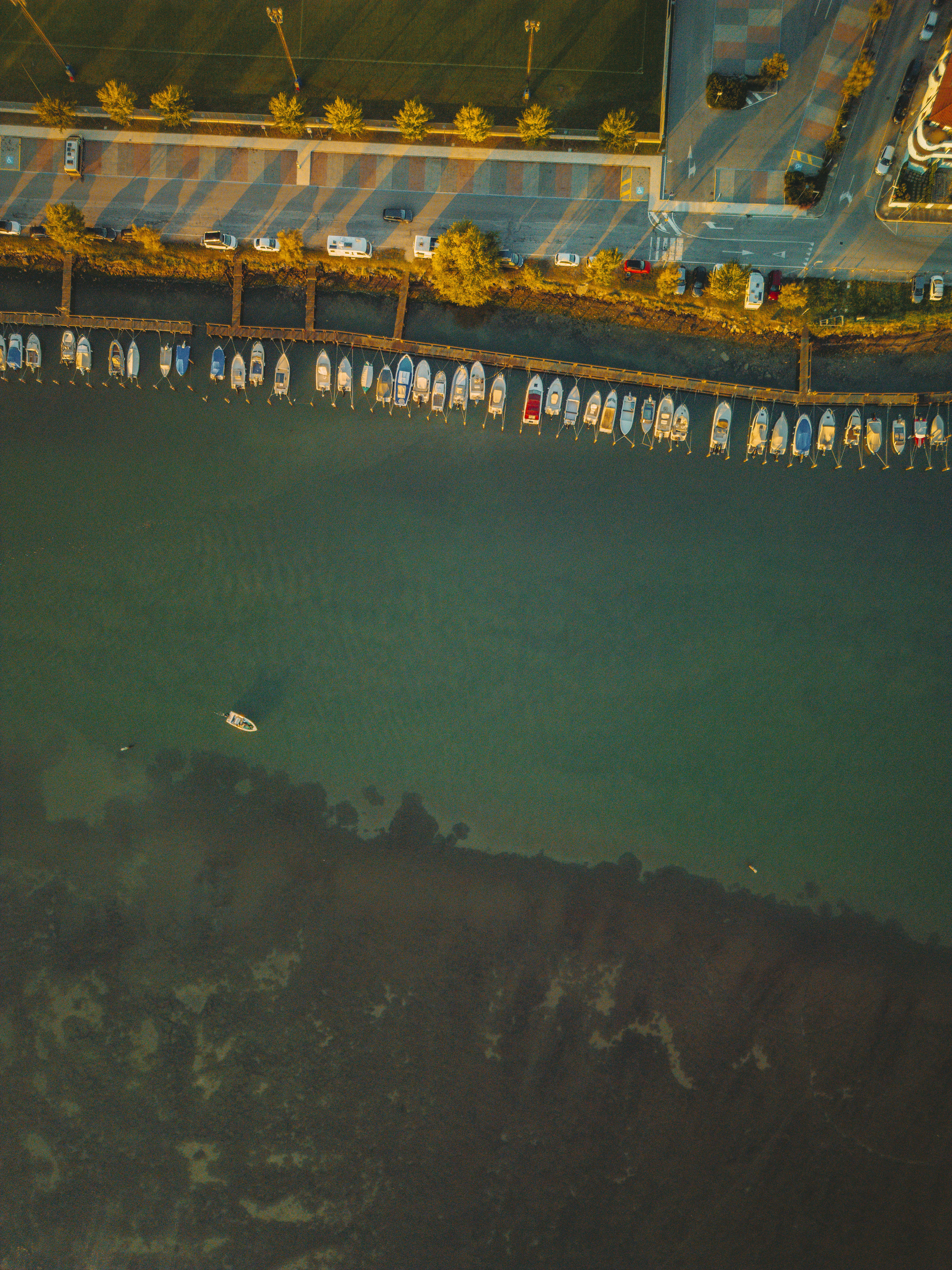 Many boats docked along a waterfront with a grassy field.
