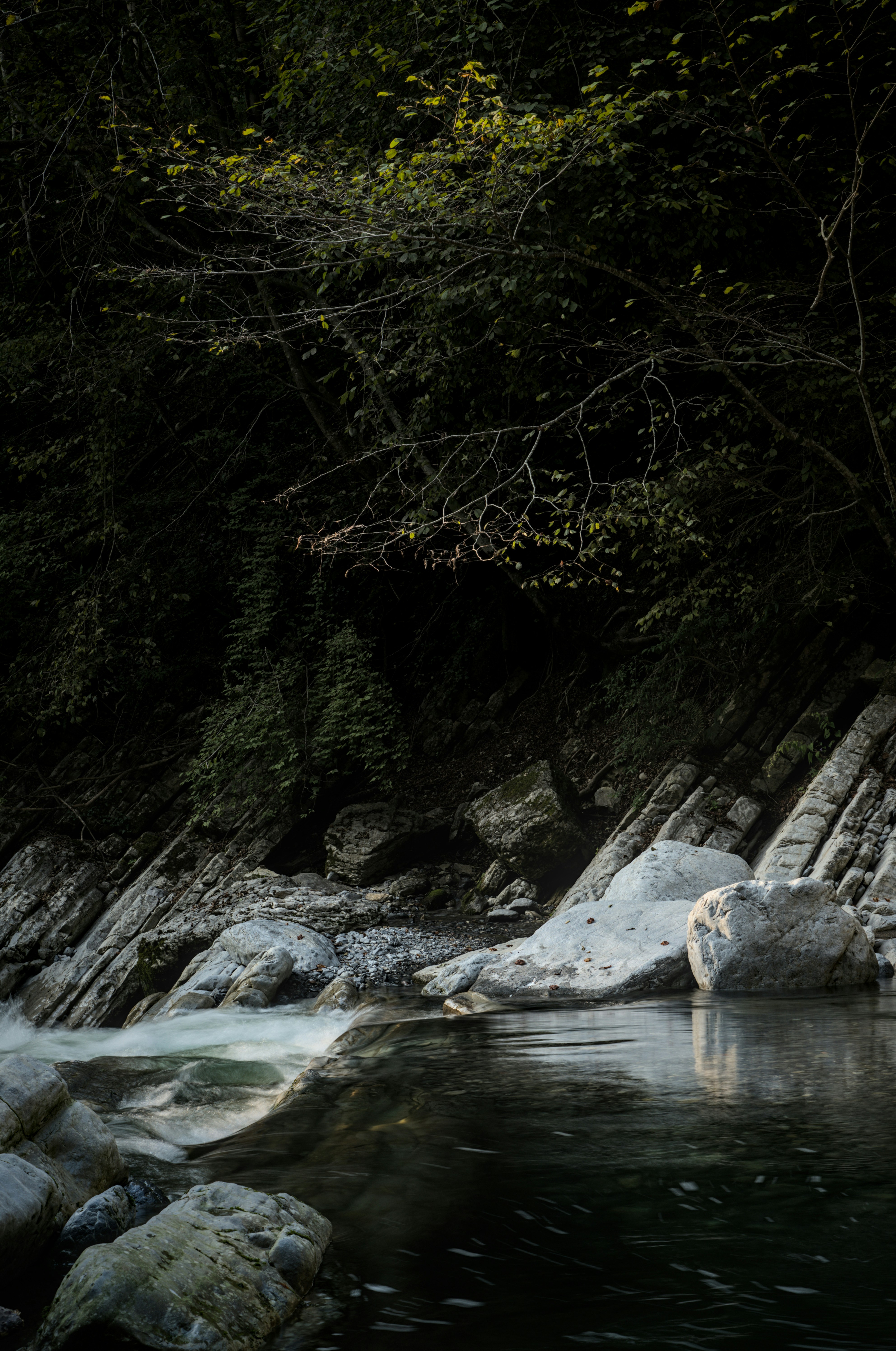 Serenity Amidst Rocky Reflections
