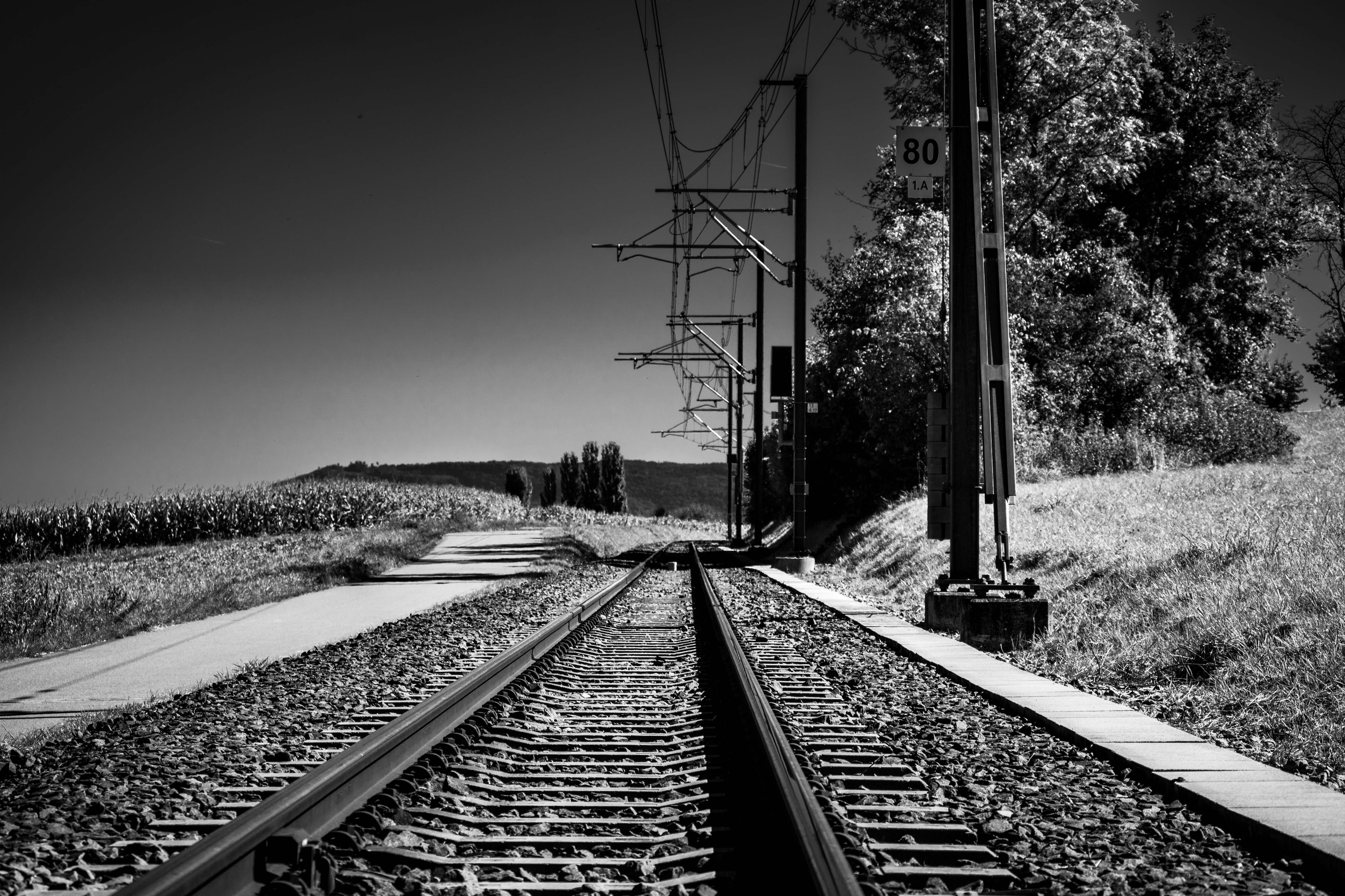 A black and white perspective of a railway track stretches into the distance, flanked by open fields and power lines, evoking a timeless sense of journey, solitude, and anticipation. The stark contrast enhances the linear geometry and rural stillness. | Train tracks leading into the distance under clear sky.