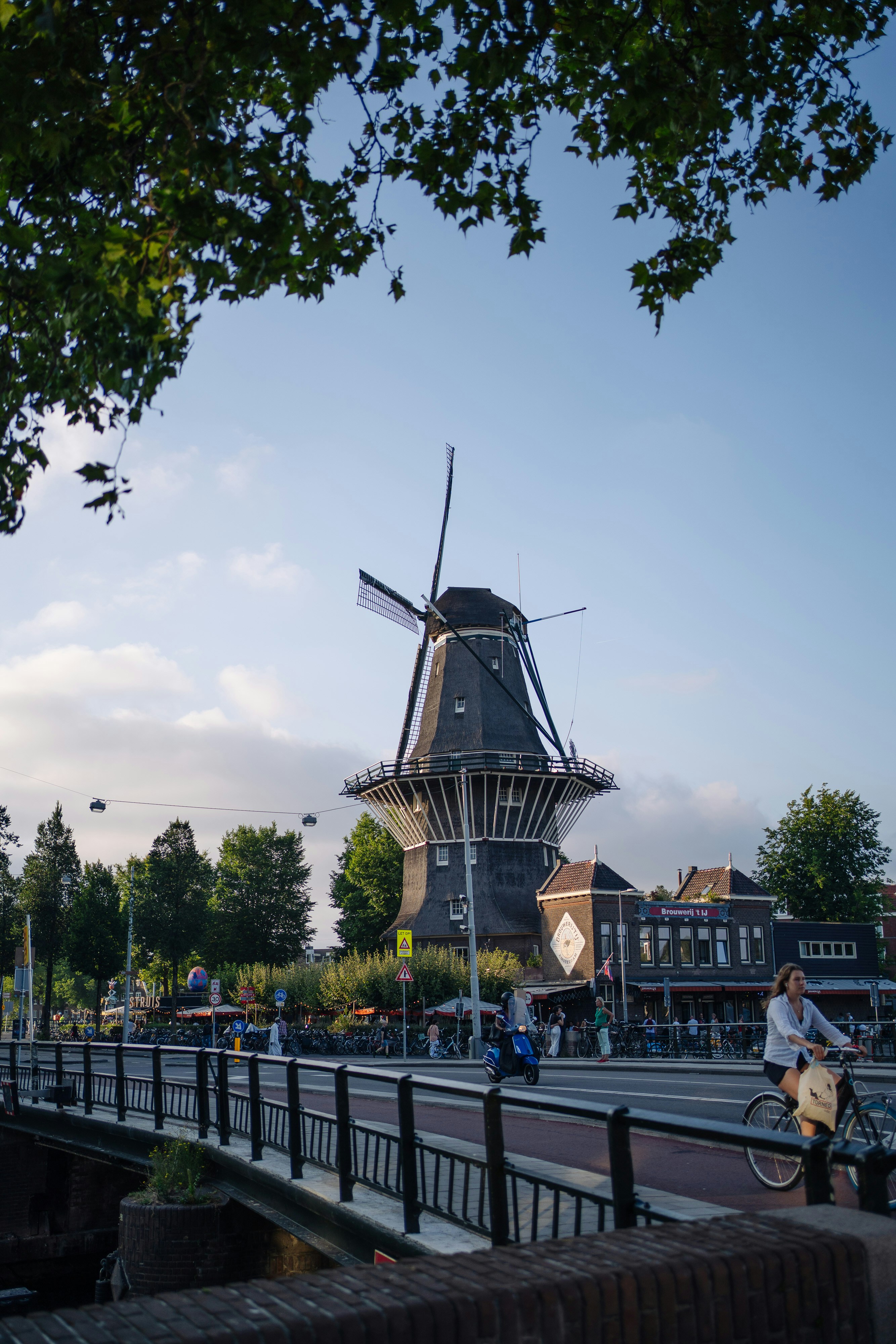 Whispers of Tradition: The Windmill's Tale