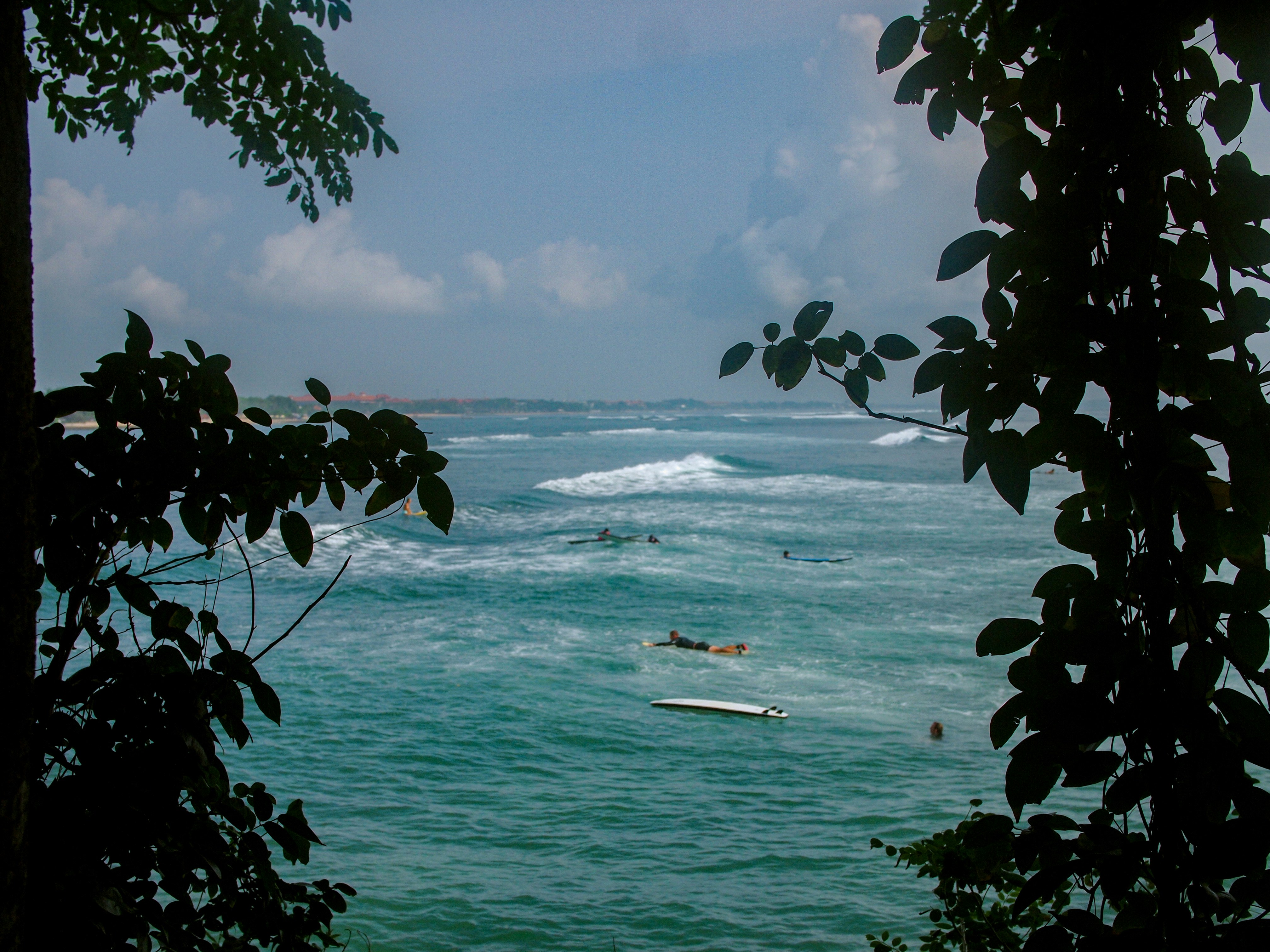 Surfers riding gentle waves framed by lush foliage, capturing a tranquil coastal scene. The image highlights the harmony between nature and water sports.