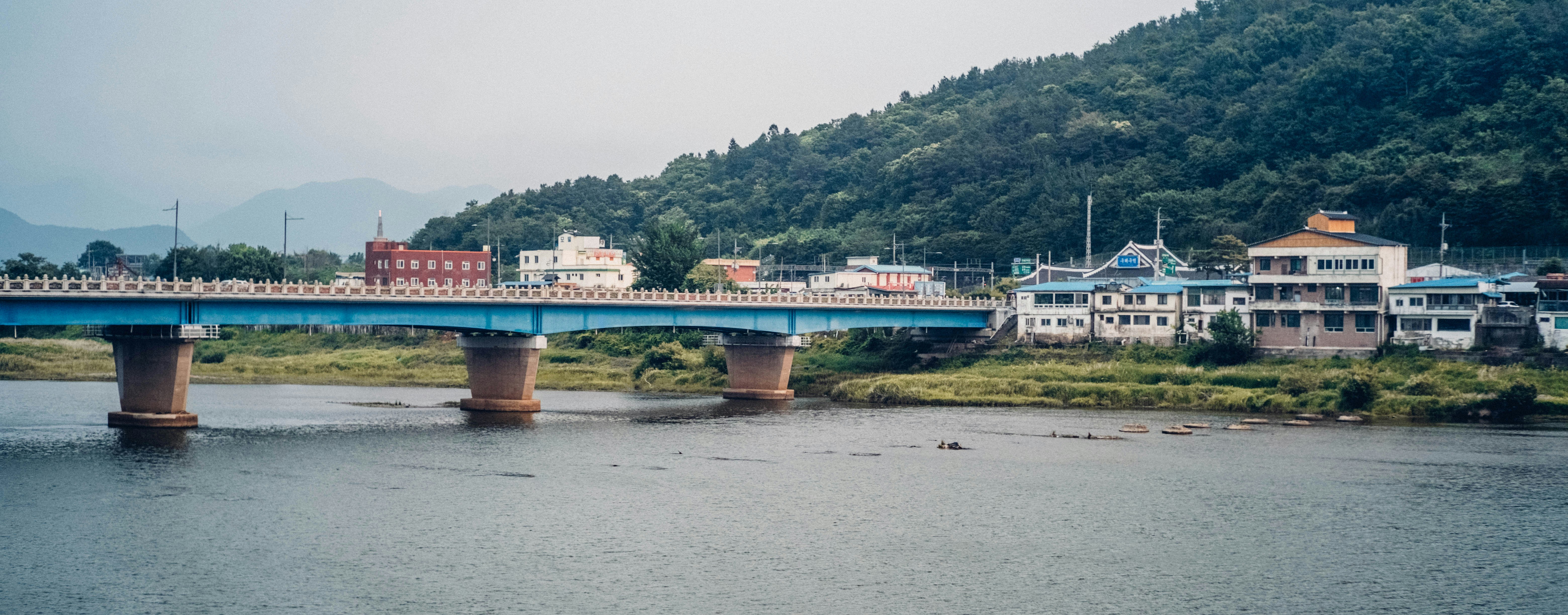 Bridging Tranquility: A River's Embrace