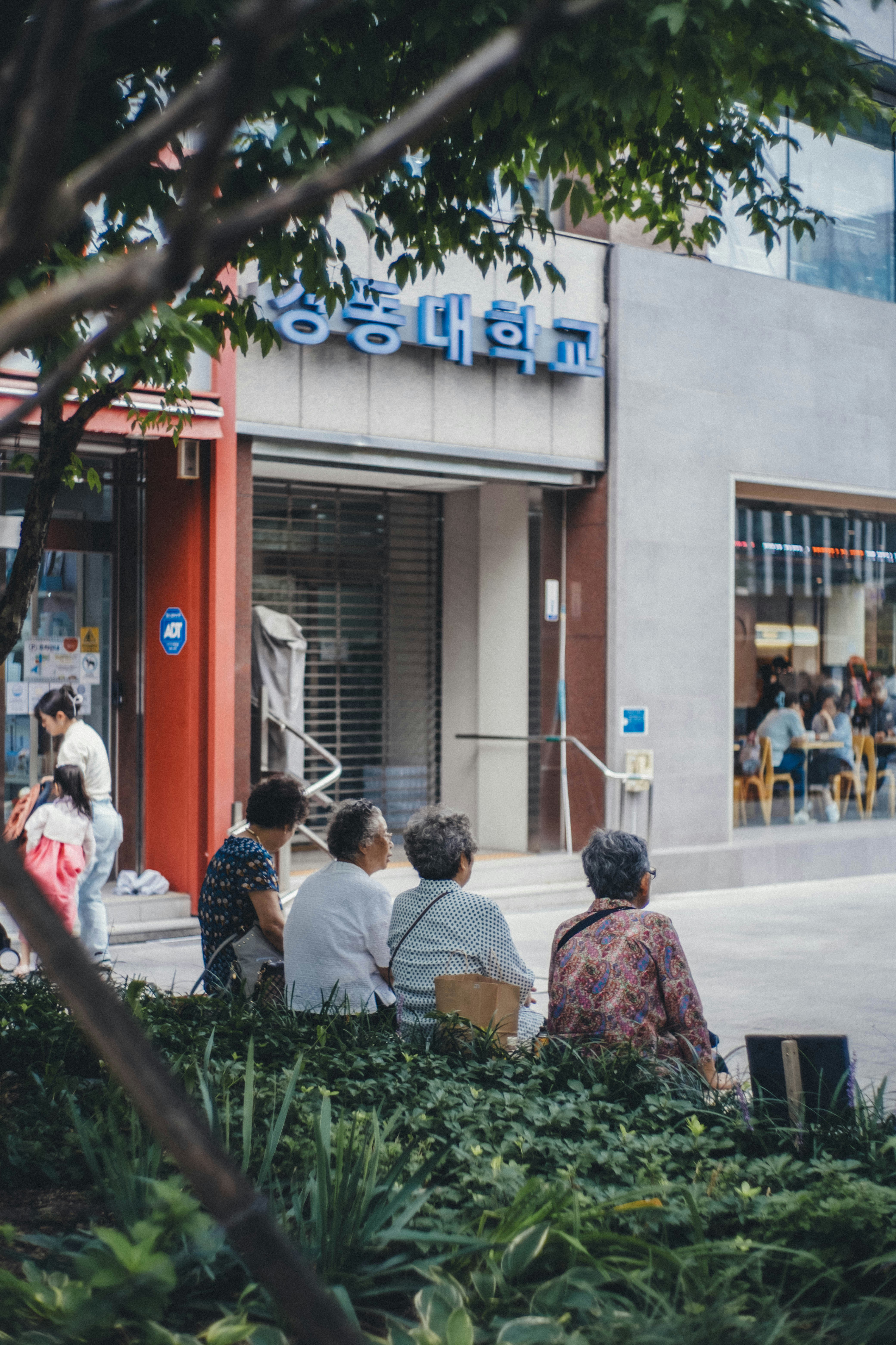 Evening Gathering by a Korean University Street Café
