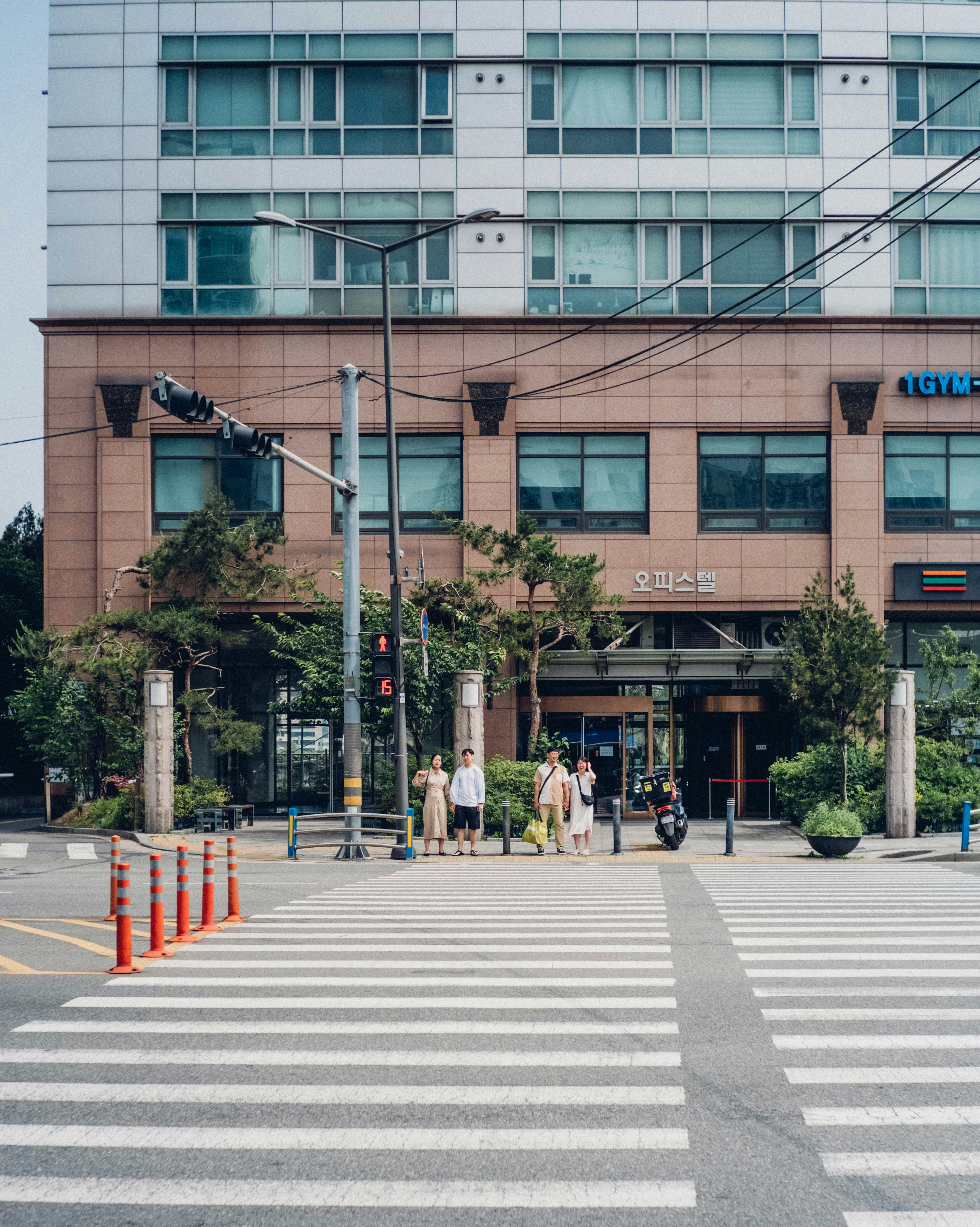 Urban Harmony: A Crosswalk Encounter