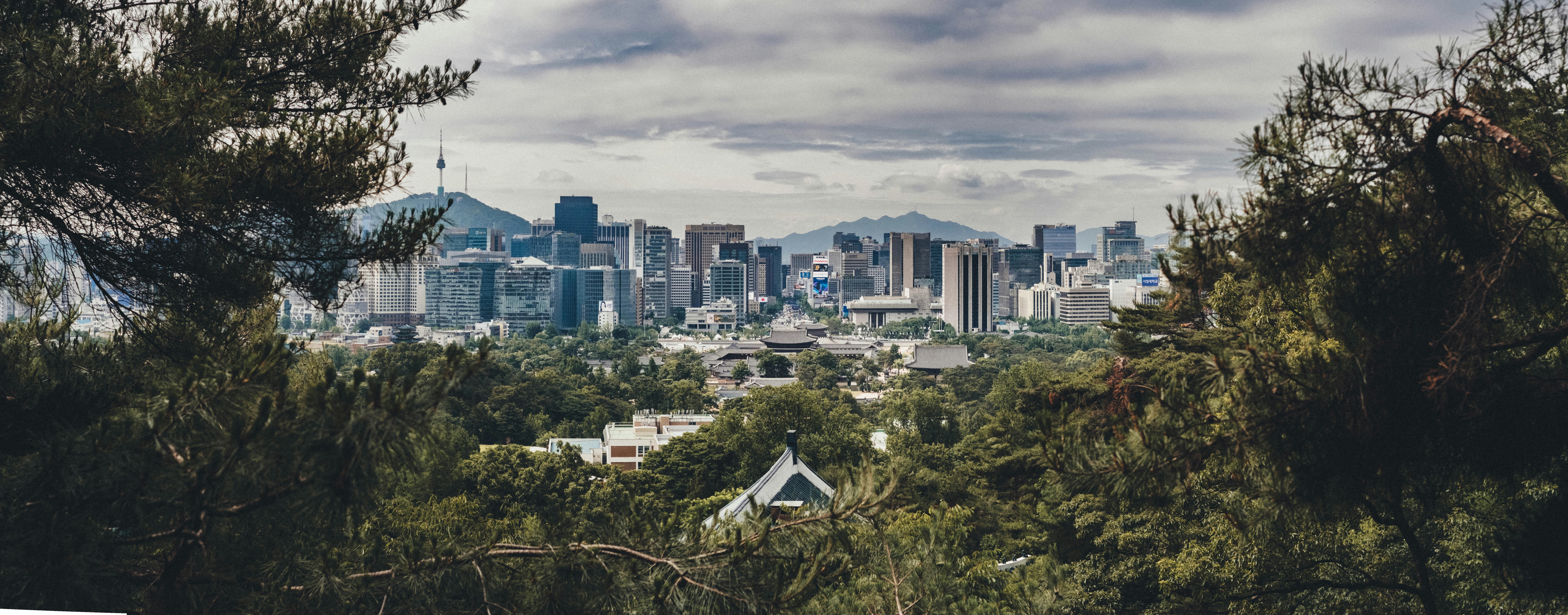Urban Serenity: A Cityscape Framed by Nature