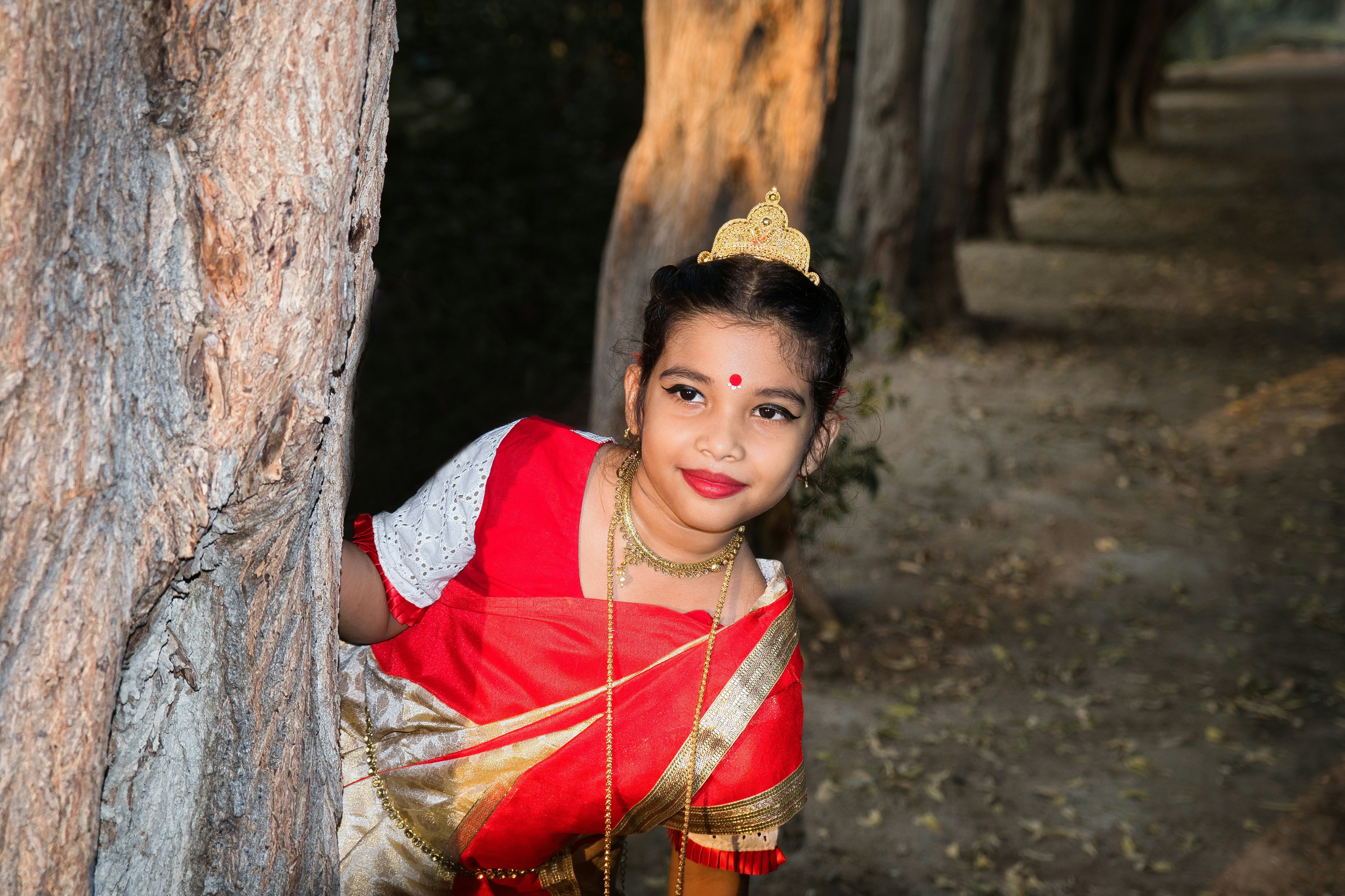 Whispers of Tradition: A Glimpse into Cultural Elegance