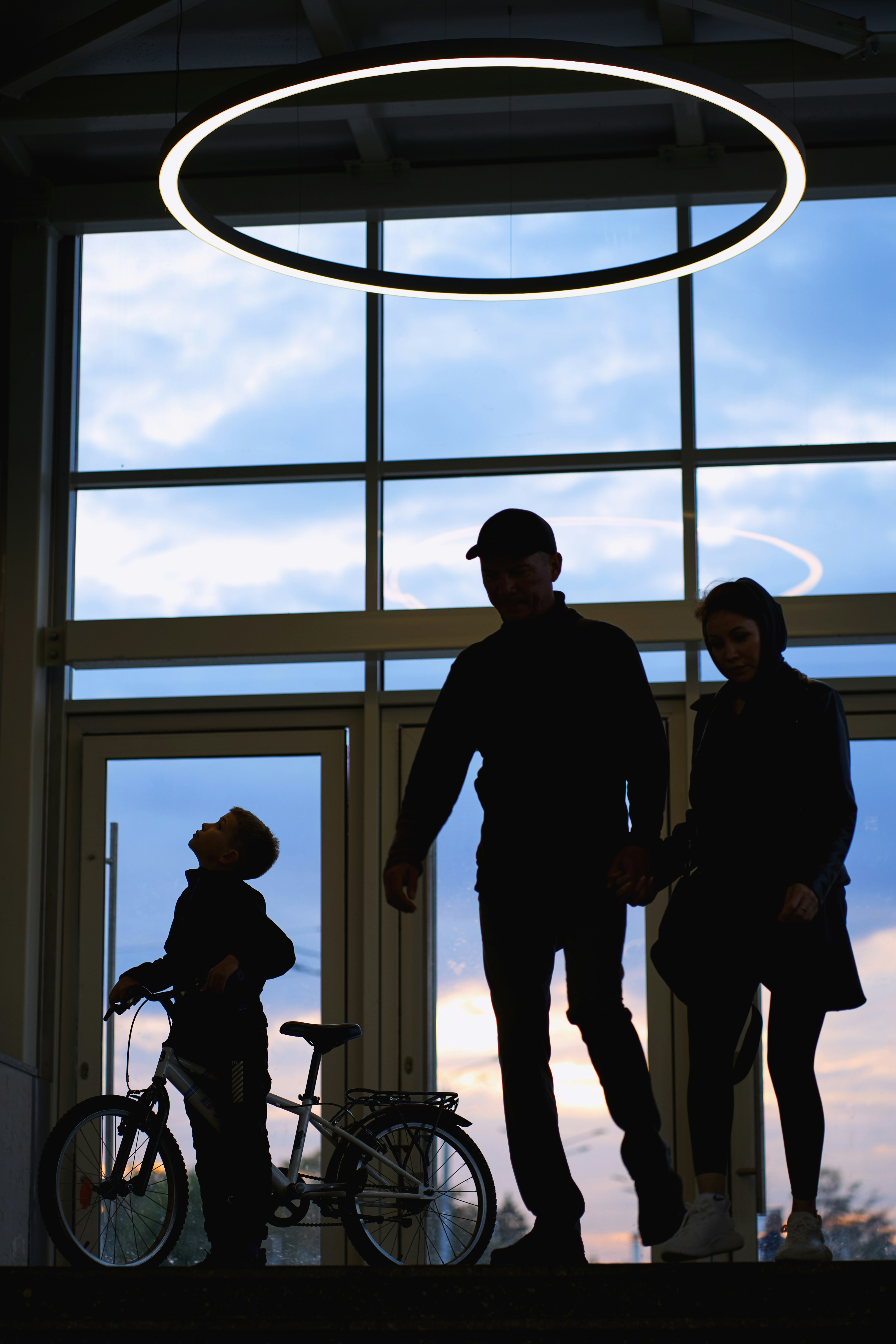 Silhouettes Against the Evening Glow