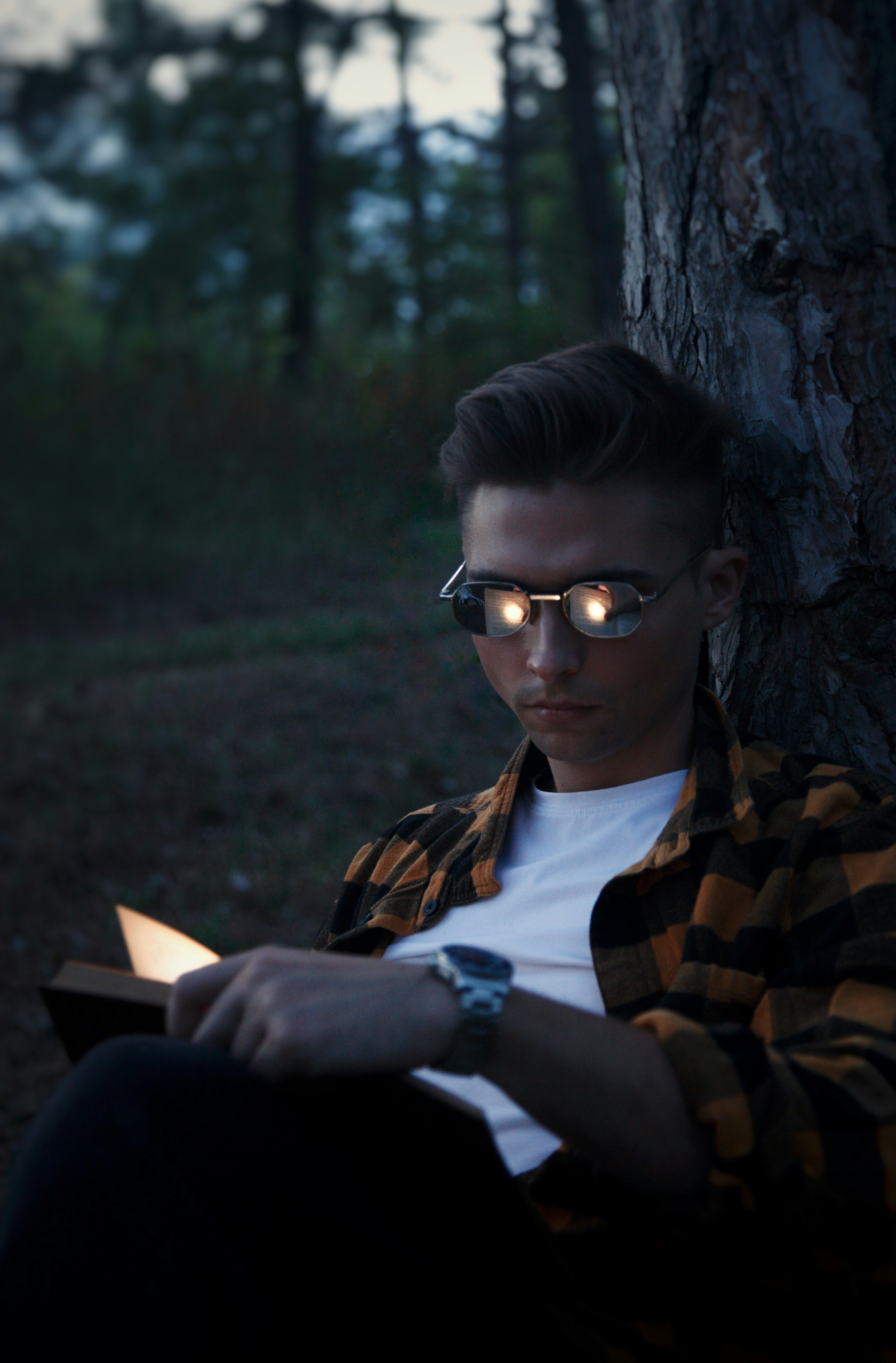 Midnight Lull: A Quiet Reading by the Pines