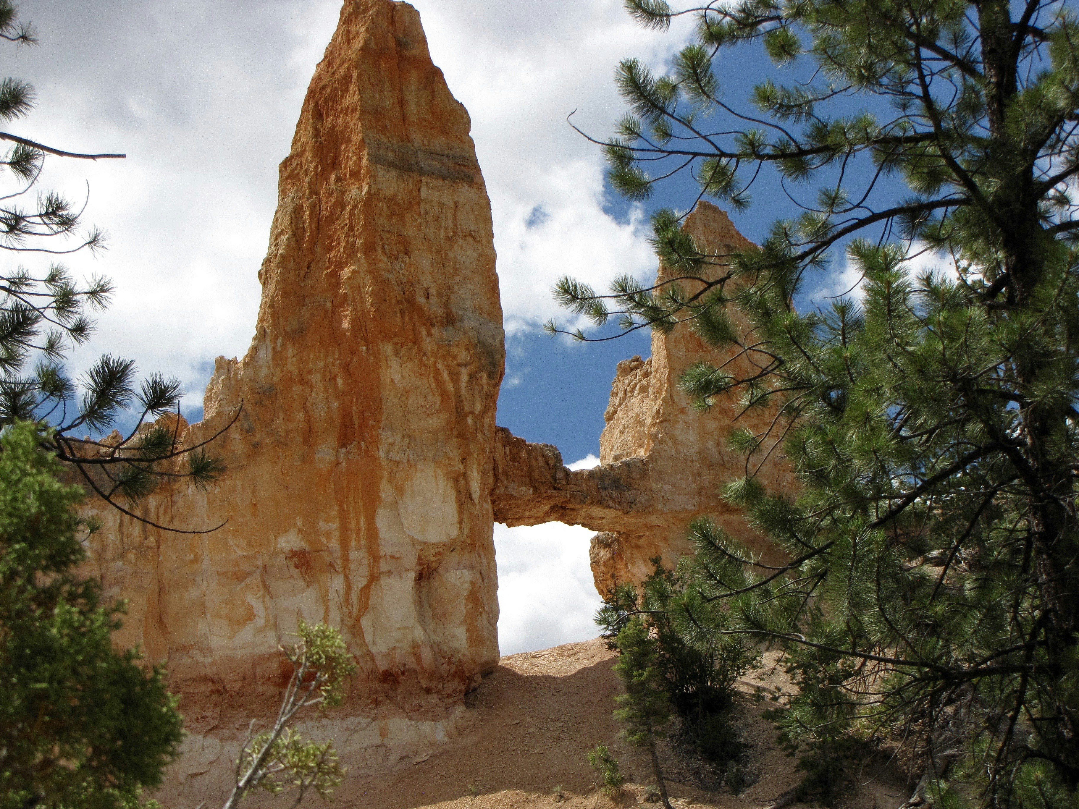 Nature's Sculpted Gateway