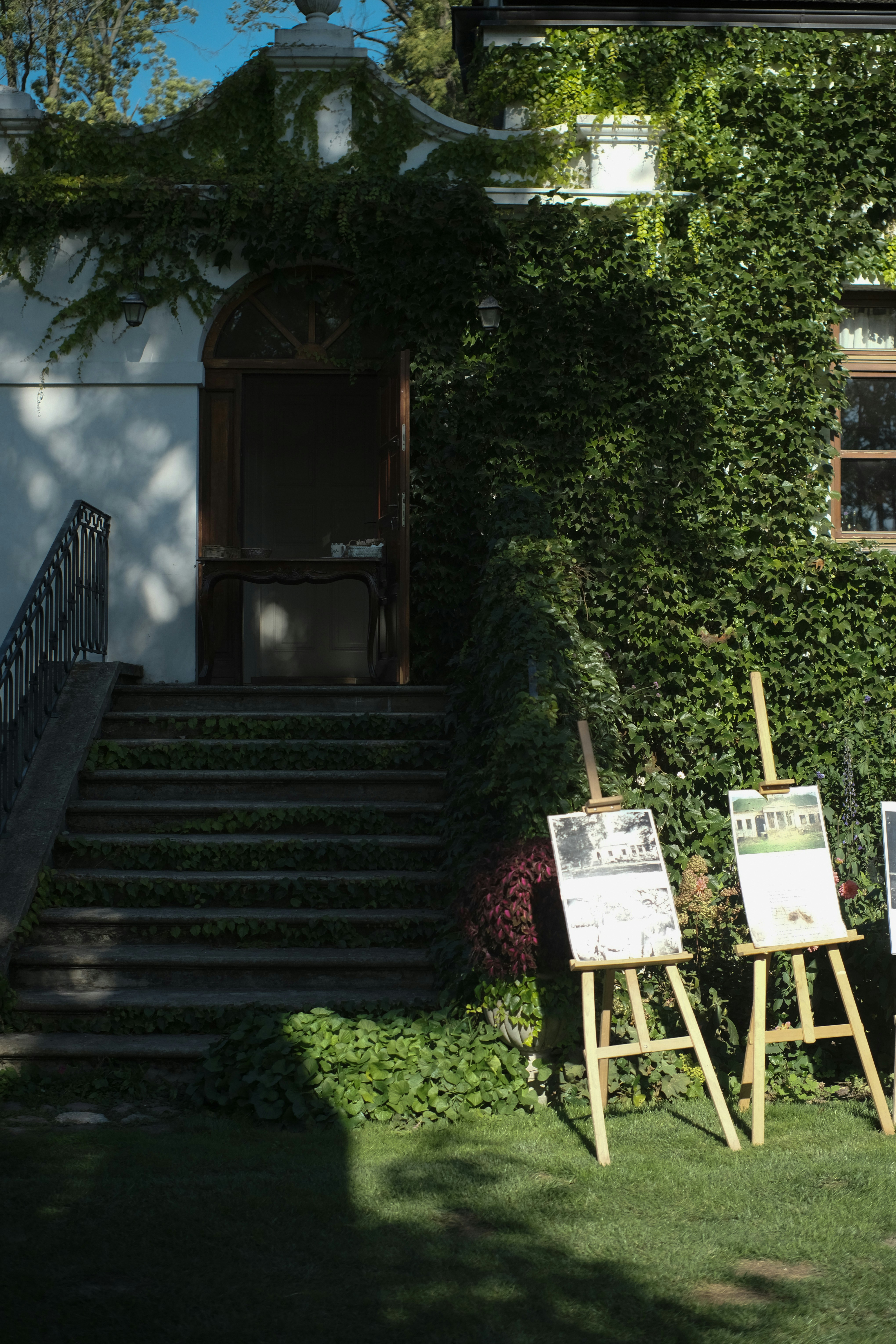 Whispers of Nature: Art in Harmony