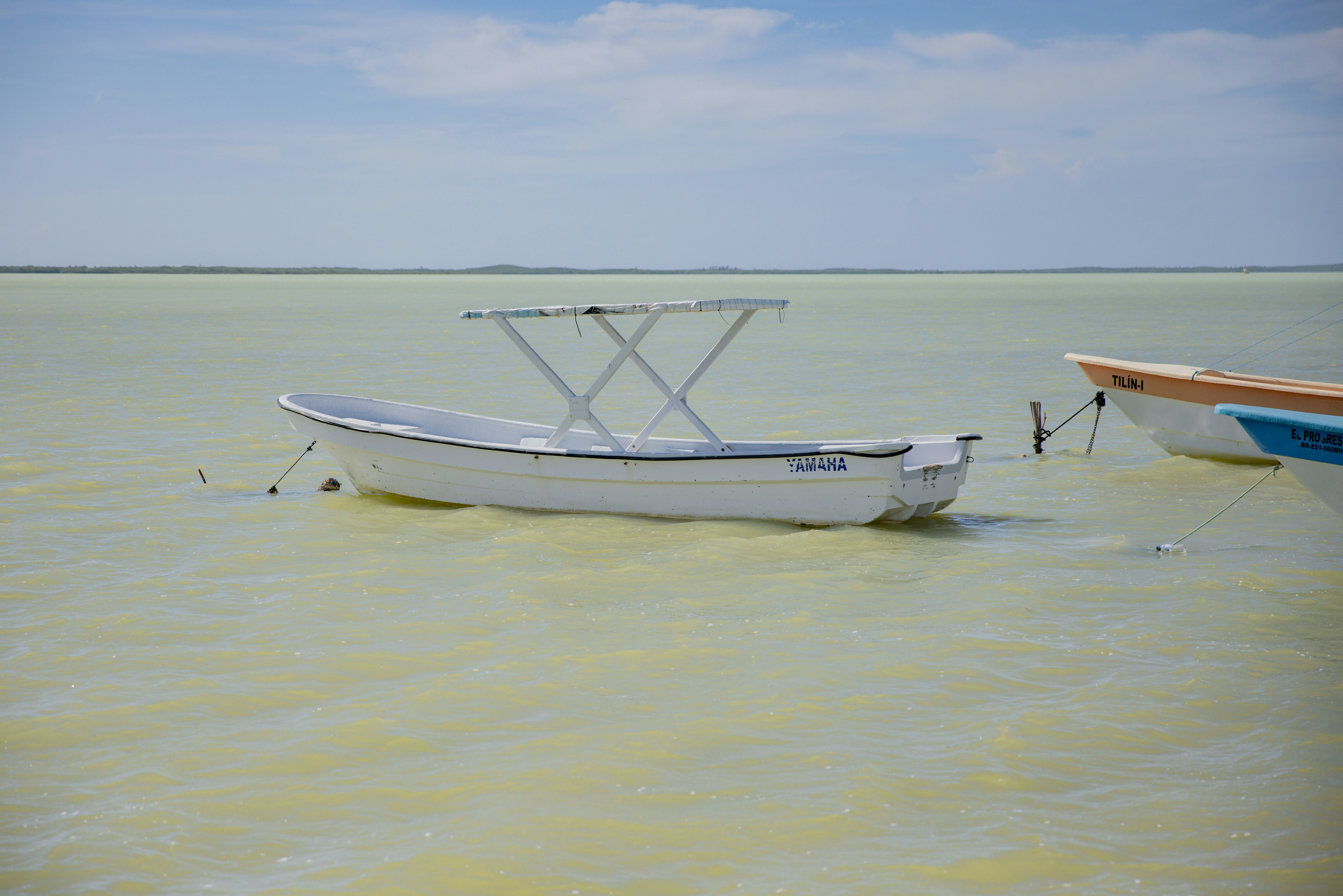 Solitary Vessel Amidst Serene Waters