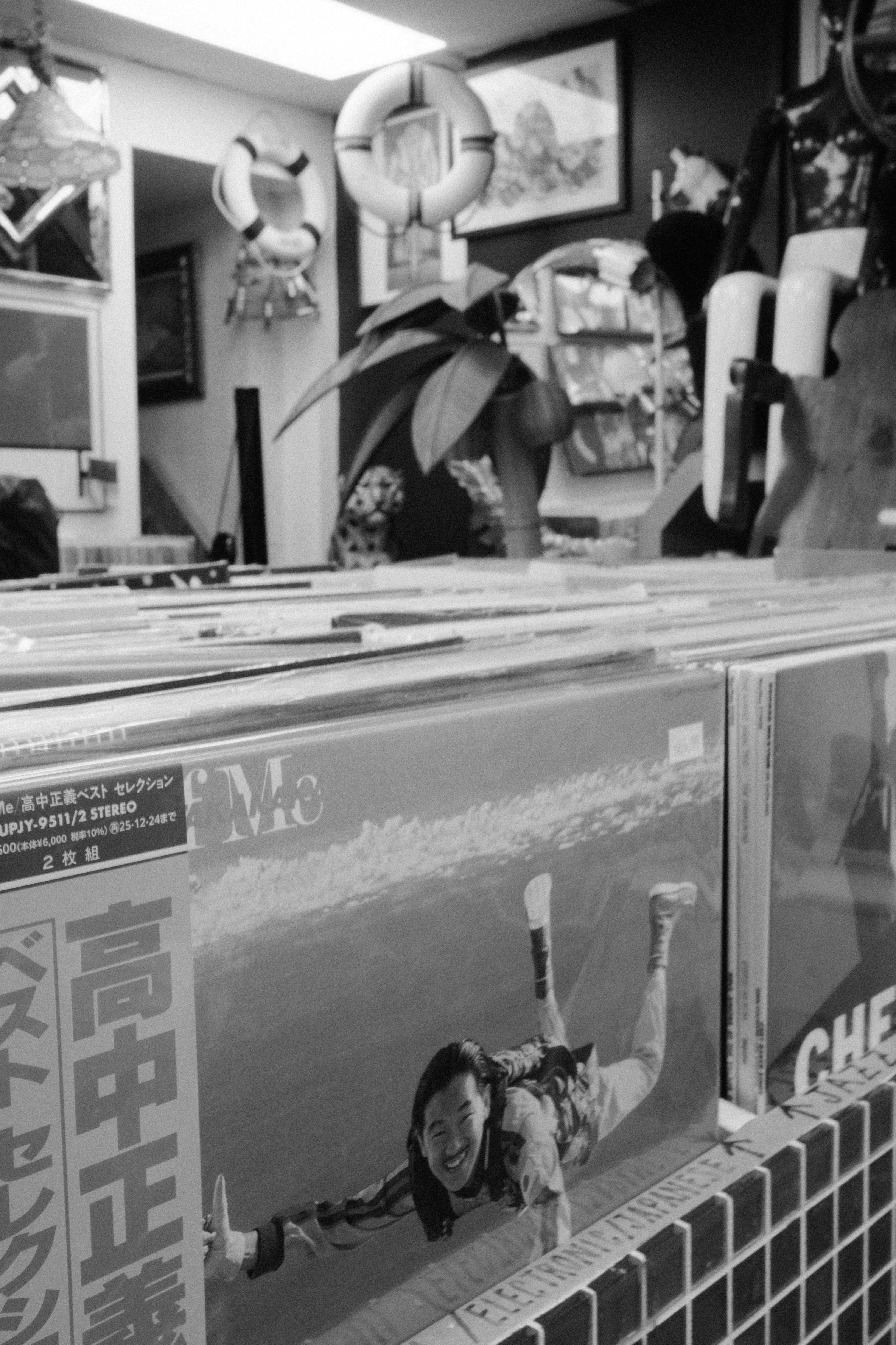 Vinyl Echoes of Nostalgia