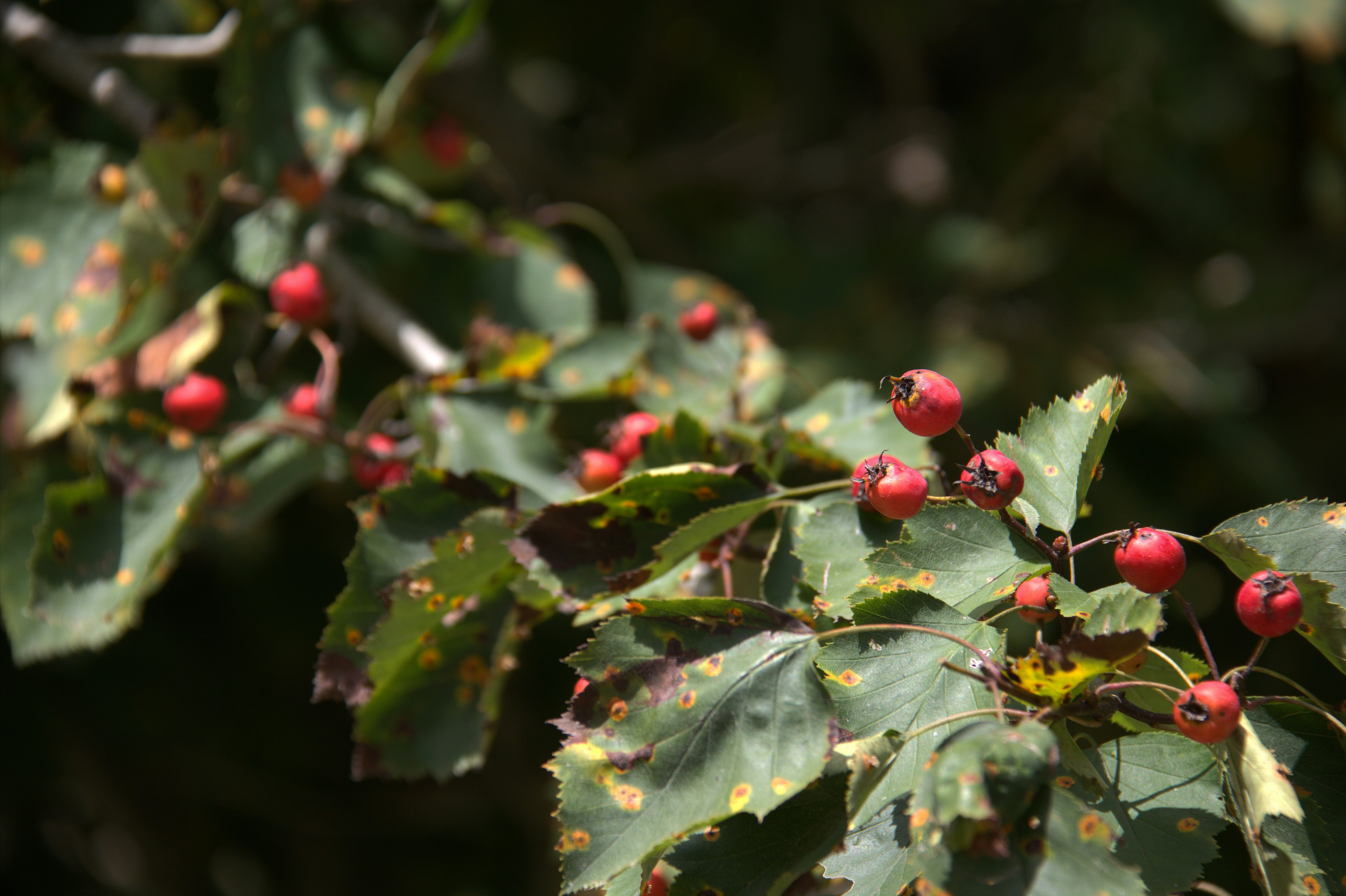 Ryan Gondoputro (@romeo_golf_oscar) | Komunitas Foto Unsplash