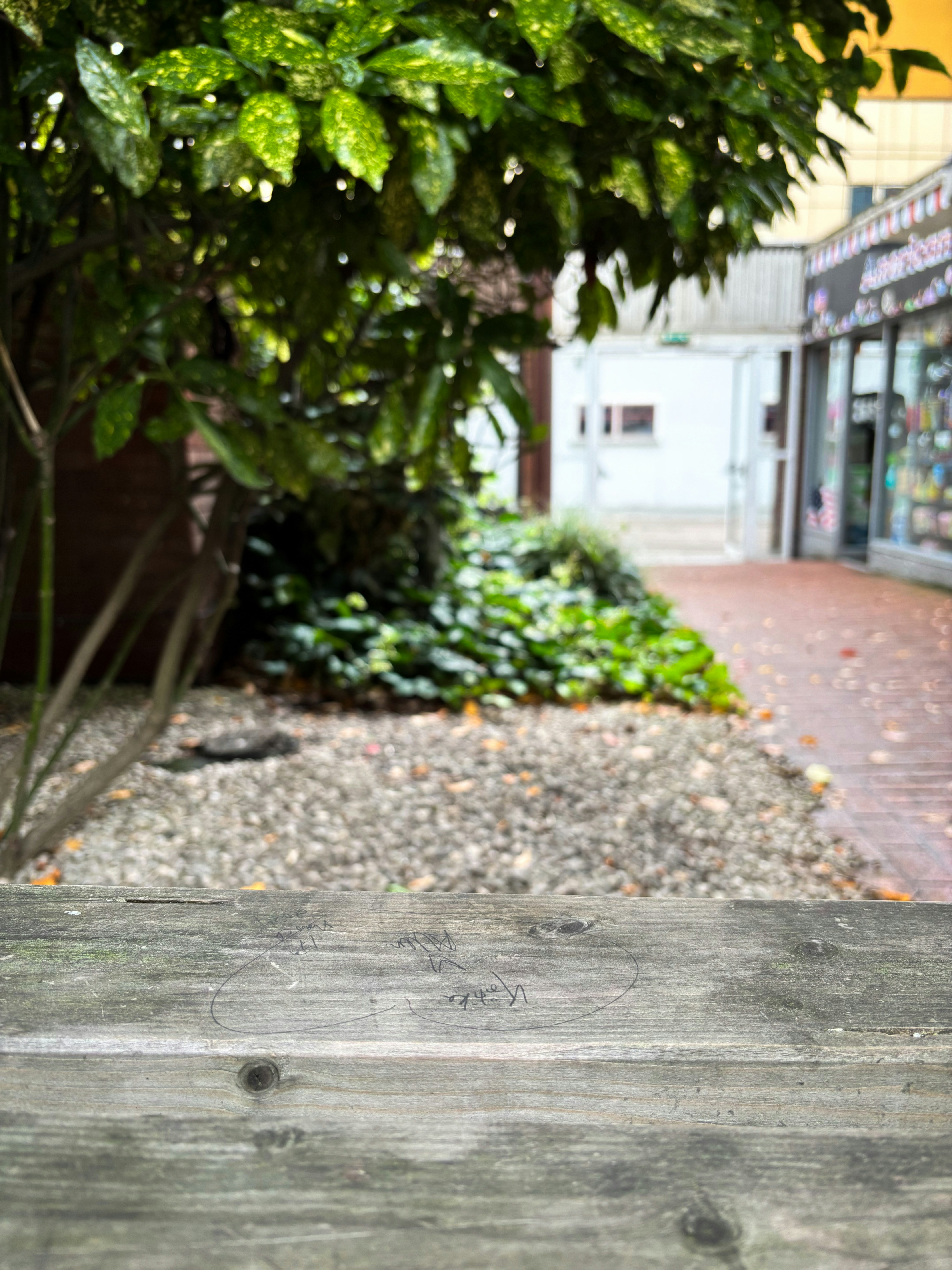 Whispers of Nature Amidst Urban Life