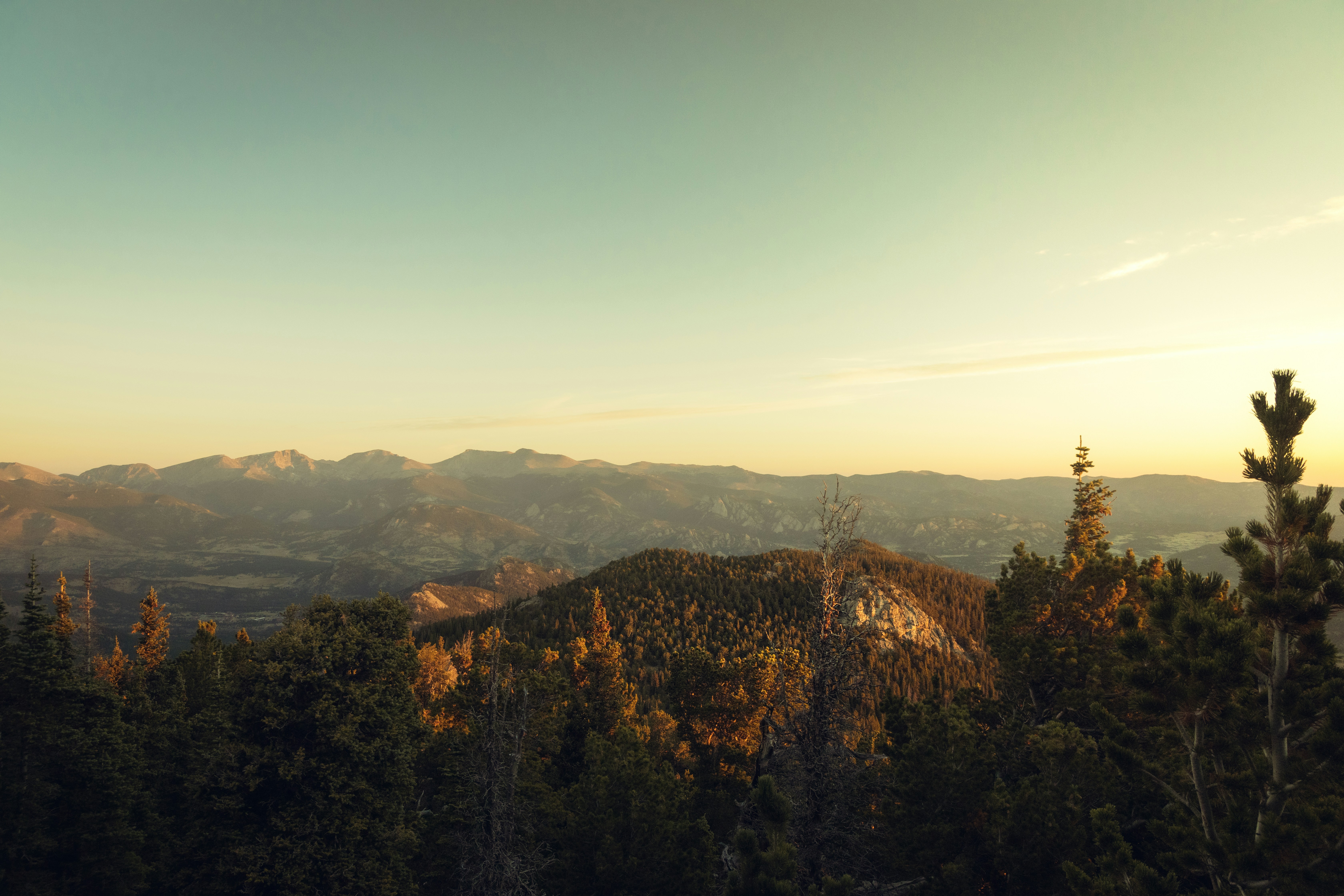 Golden sunset over distant mountains and trees. photo – Free Forest ...