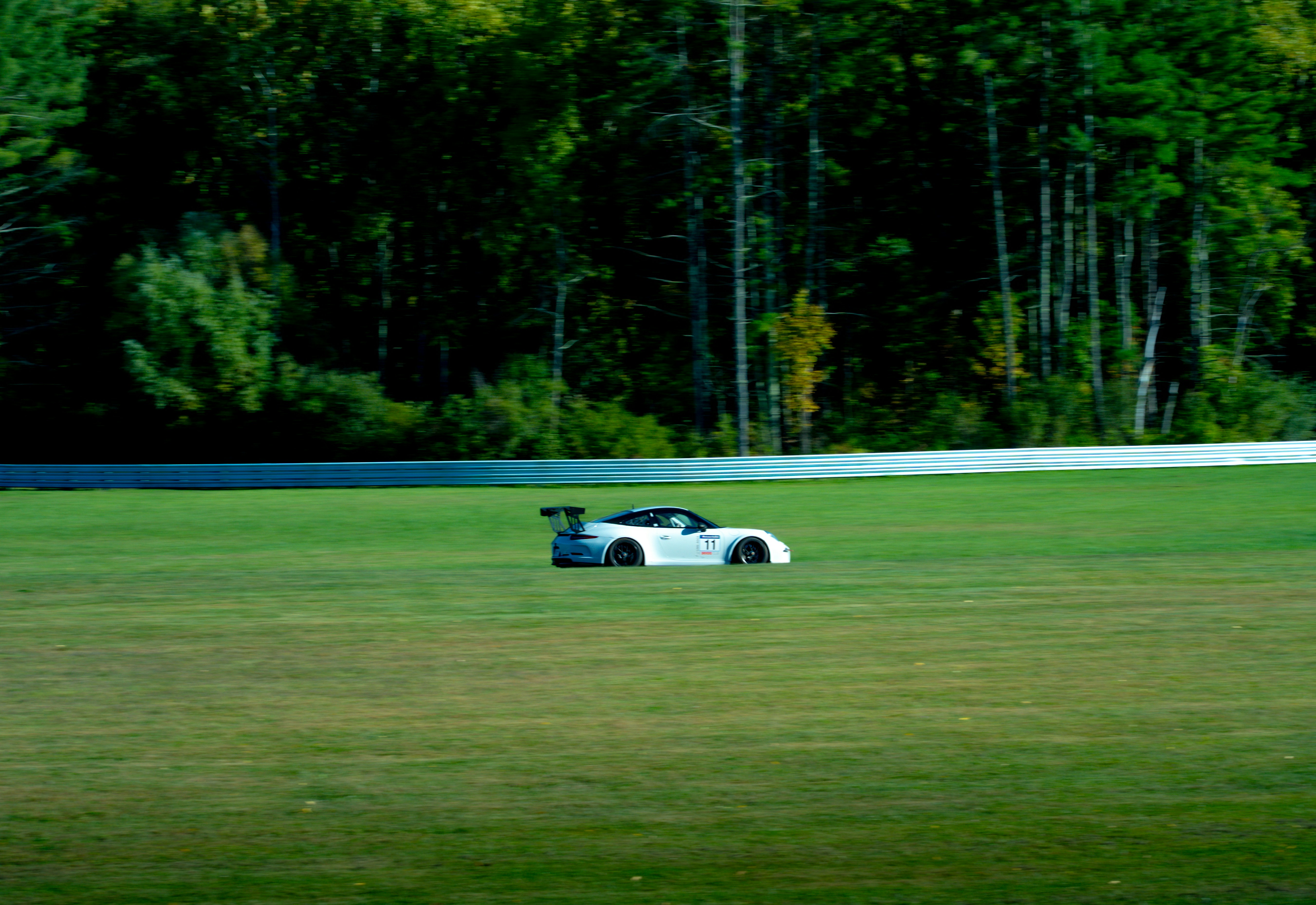 A sleek racing car navigates a lush green track, showcasing its agility against a backdrop of vibrant trees.
