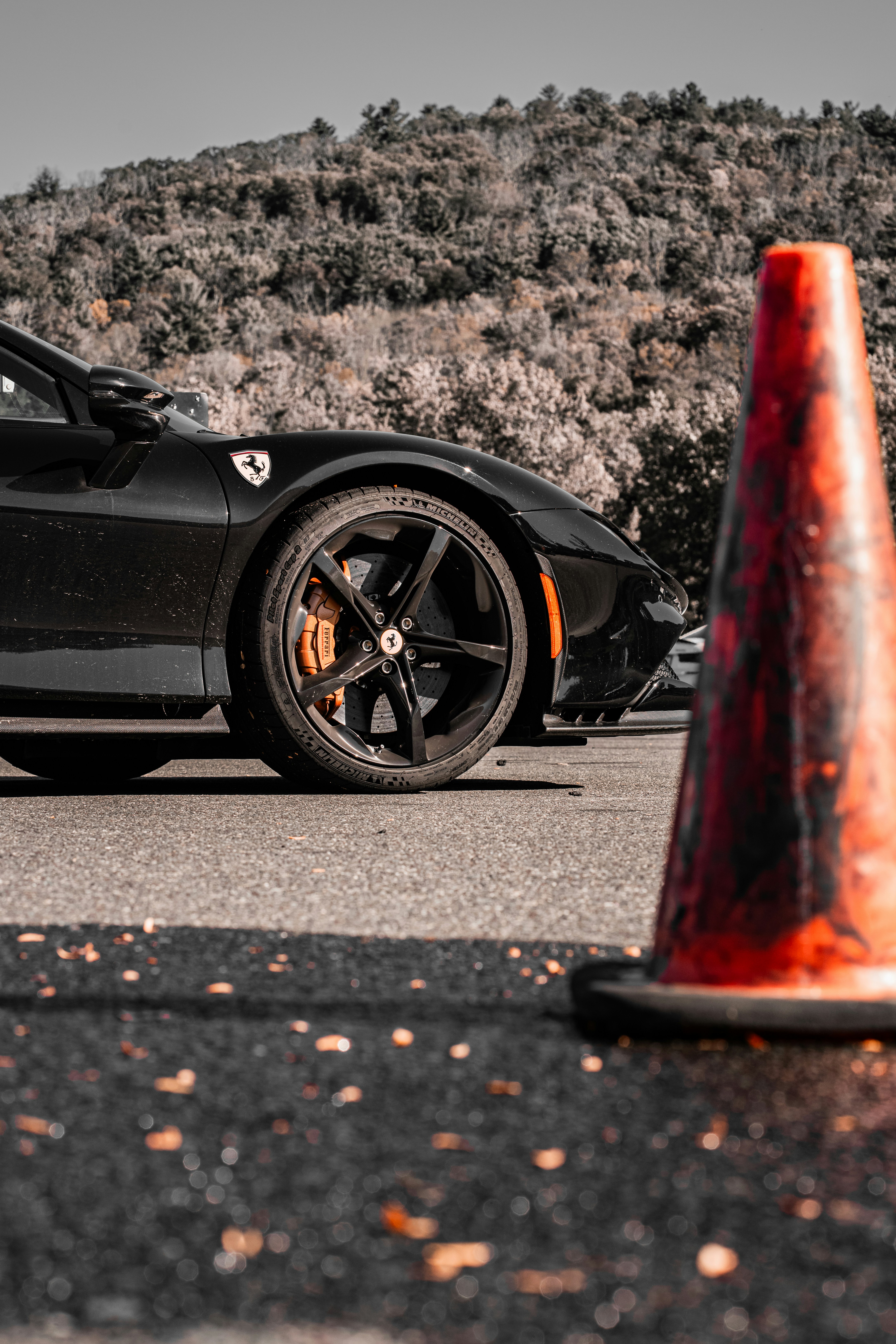 Elegance in Motion: The Art of Automotive Design